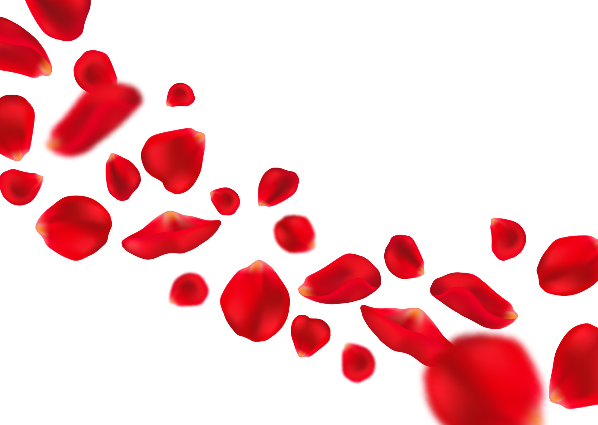 Flying rose petals isolated realistic blossom flow 21630169 Vector Art ... Flying rose petals isolated realistic blossom flow 21630169 Vector Art ...