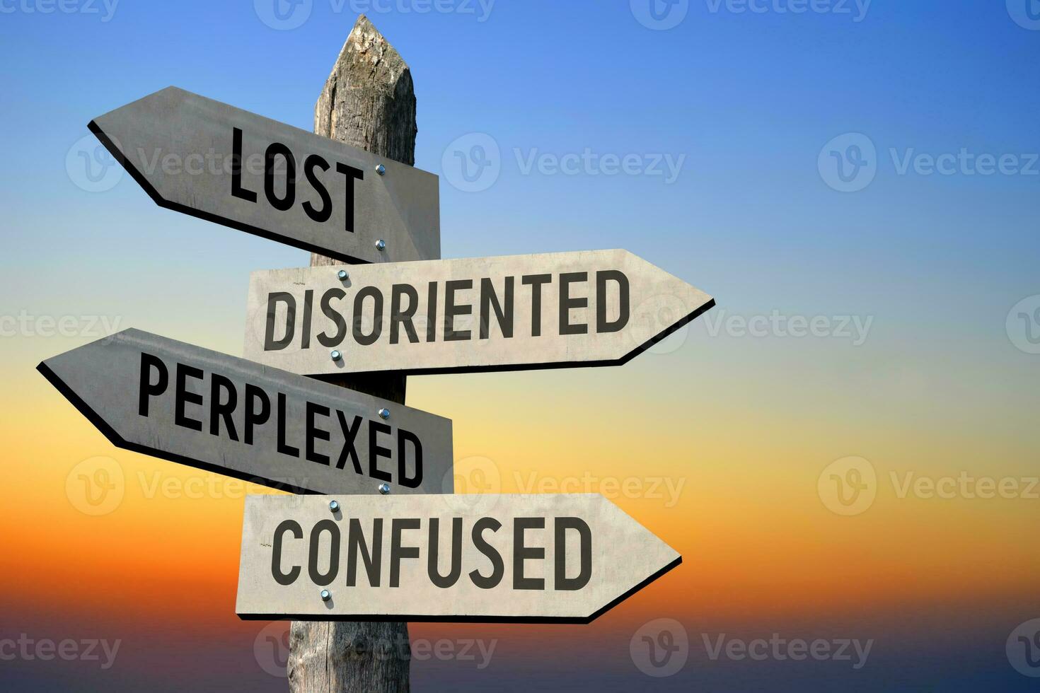 Lost, Disoriented, Perplexed, Confused - Wooden Signpost 21632322 Stock ... Lost, Disoriented, Perplexed, Confused - Wooden Signpost 21632322 Stock ...
