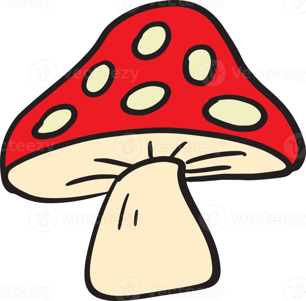 Seta Dibujo Imagen Para Comida O Cocinando Concepto 21651455 Png