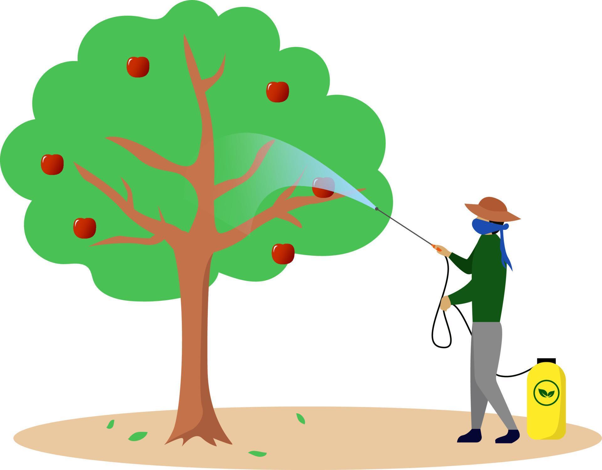 Farmer Sprays Insecticide In Apple Orchard Fieldsm Apple Farmer Sparays