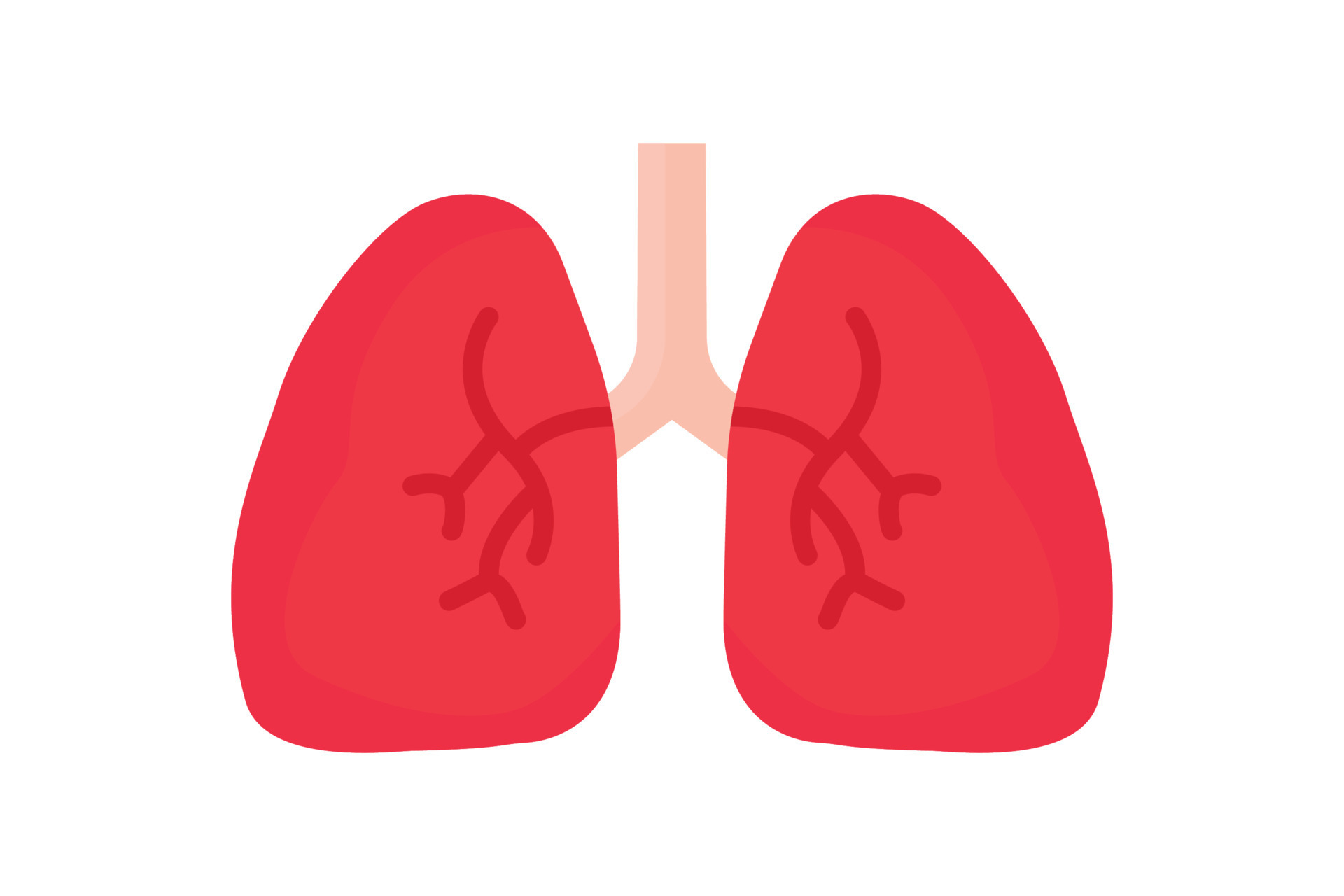 Lungs icon illustration. icon related to human organ. Flat icon style ... Lungs icon illustration. icon related to human organ. Flat icon style ...