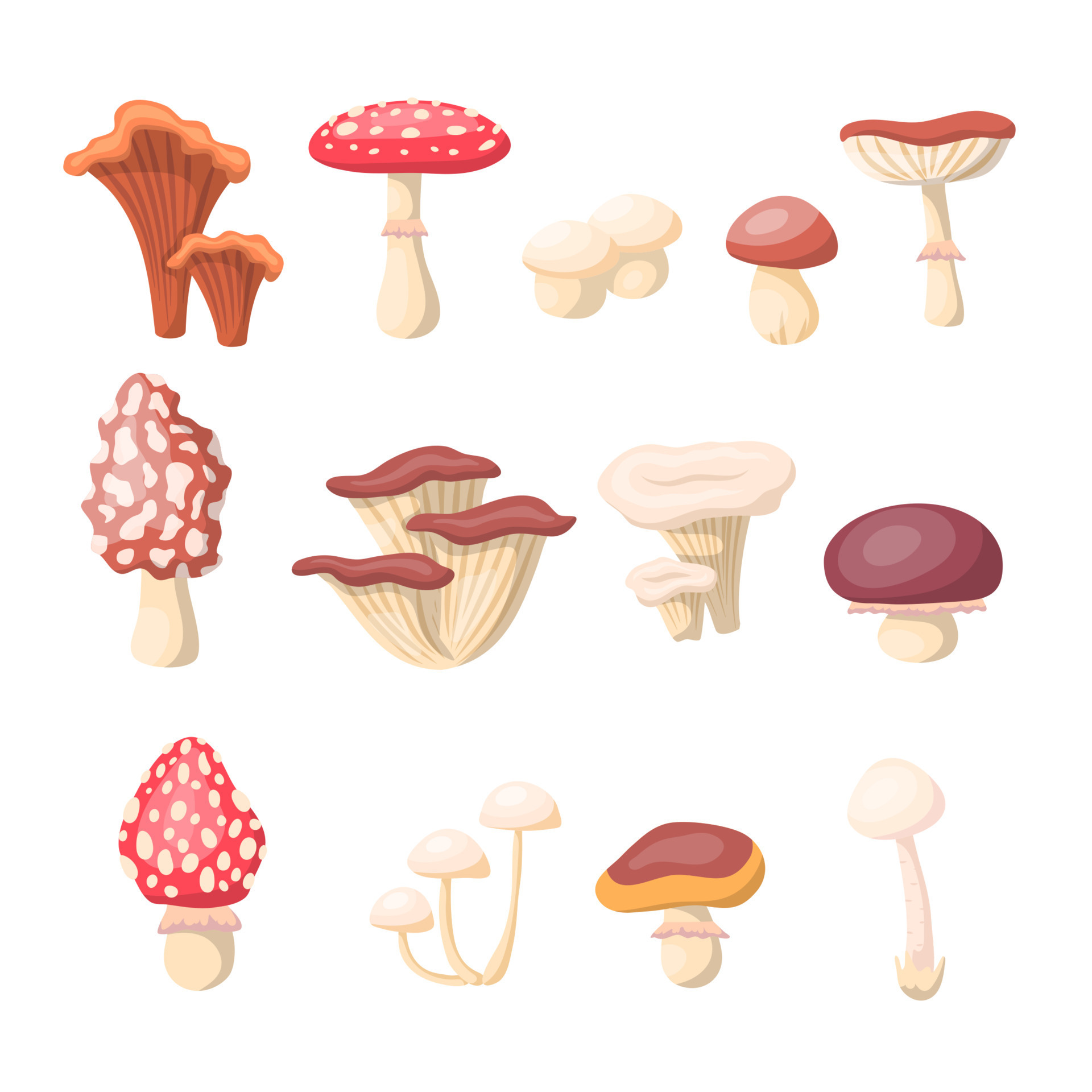Cartoon Different Mushrooms Icons Set. Vector 21677416 Vector Art at ... Cartoon Different Mushrooms Icons Set. Vector 21677416 Vector Art at ...