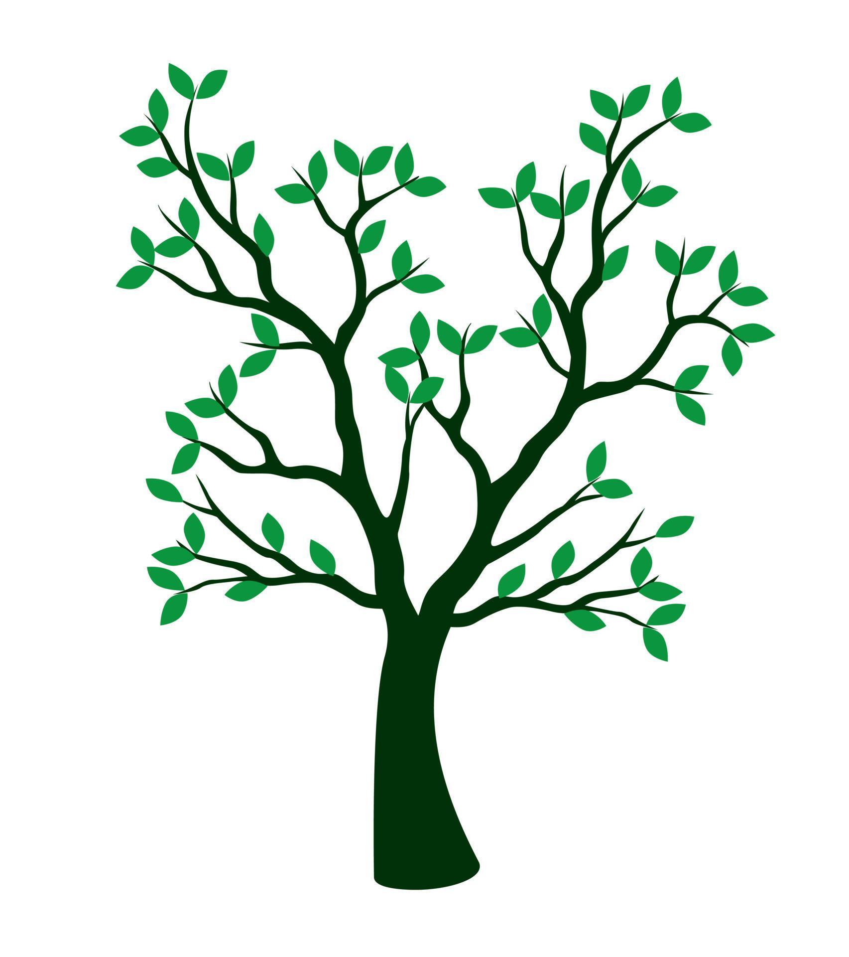 Shape of green Tree with Leaves. Vector outline Illustration. 21684791 ...