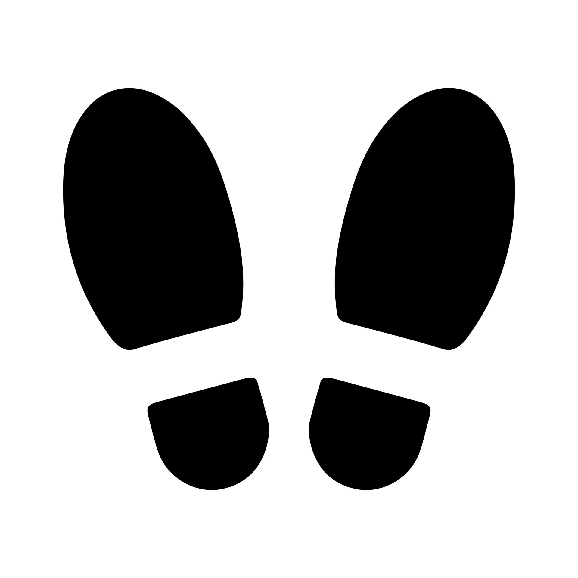 Footprint vector icon 21708112 Vector Art at Vecteezy