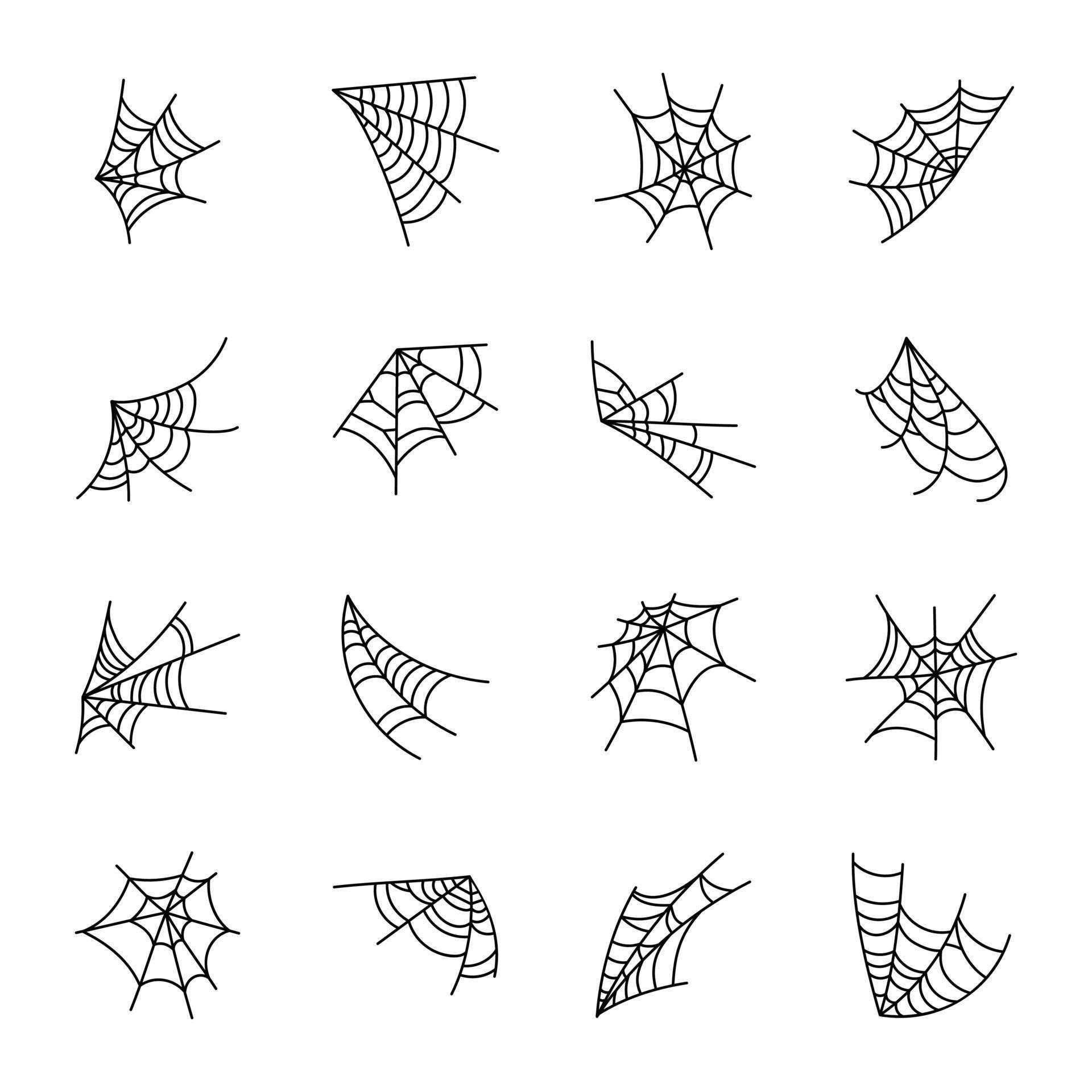 Collection of Spider Net Hand Drawn Vectors 21733107 Vector Art at Vecteezy