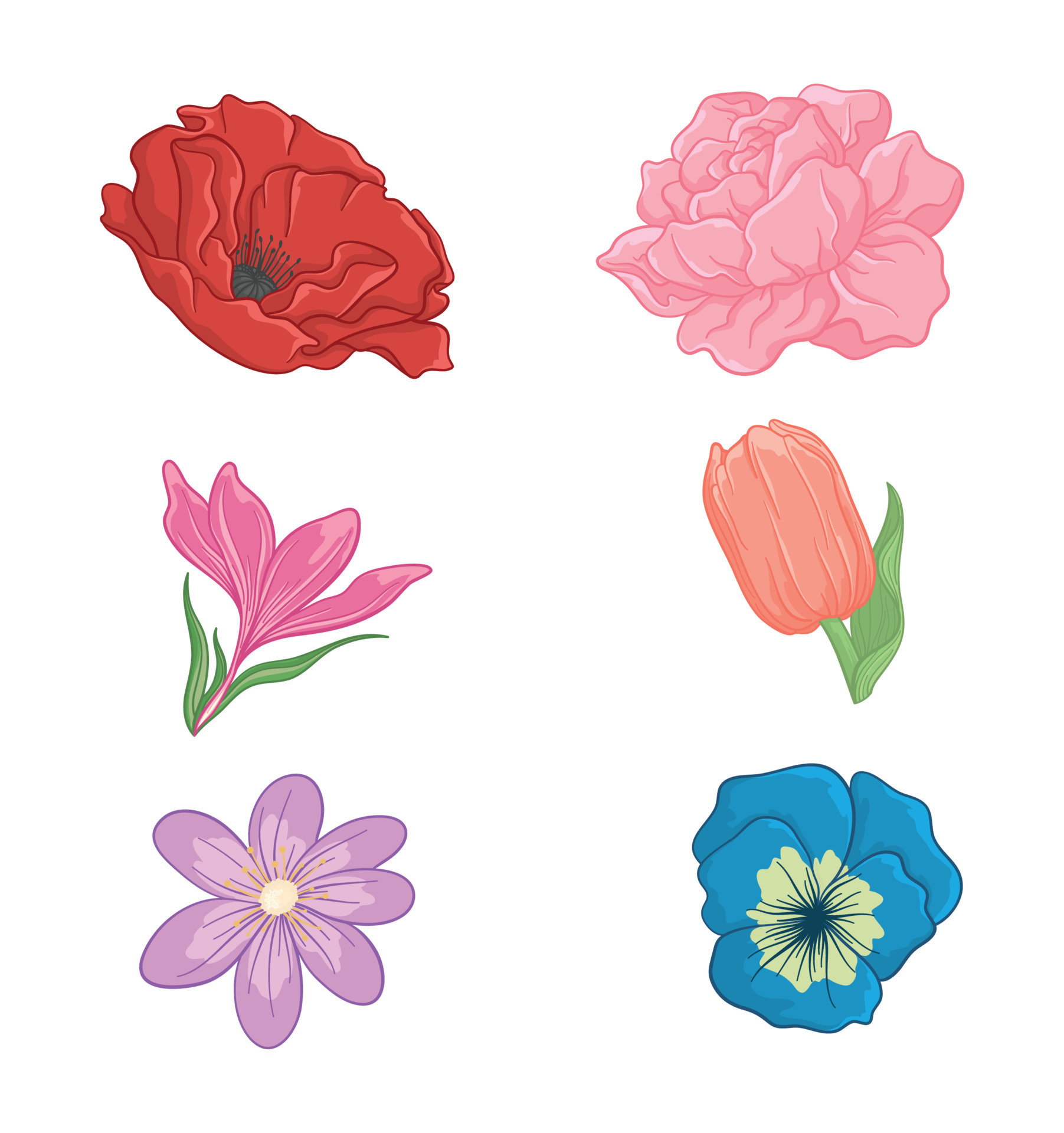 colorful spring flowers collection set 21740710 Vector Art at Vecteezy