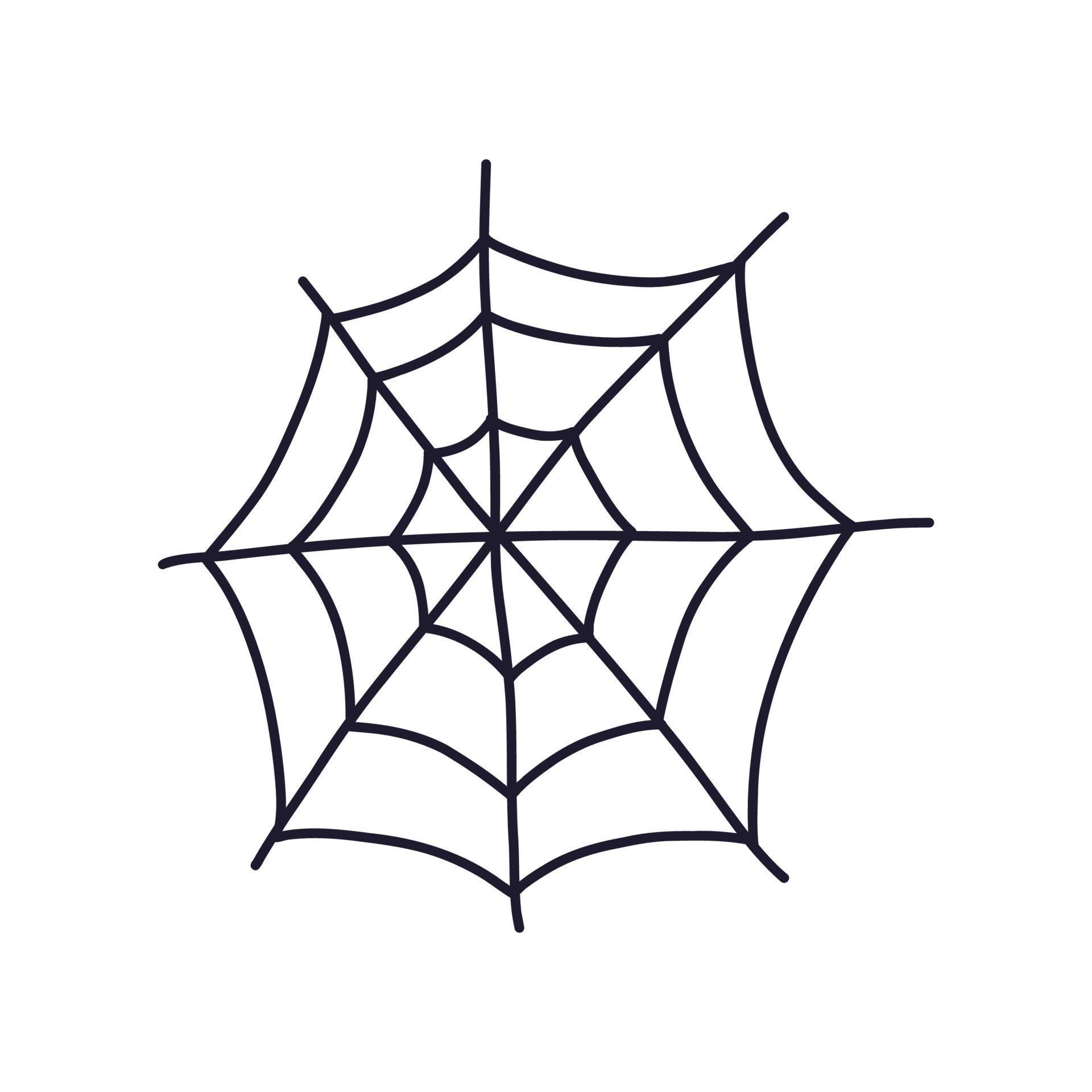 Spider Web Hand Drawn Cartoon Flat Vector Illustration Isolated On White Background Traditional