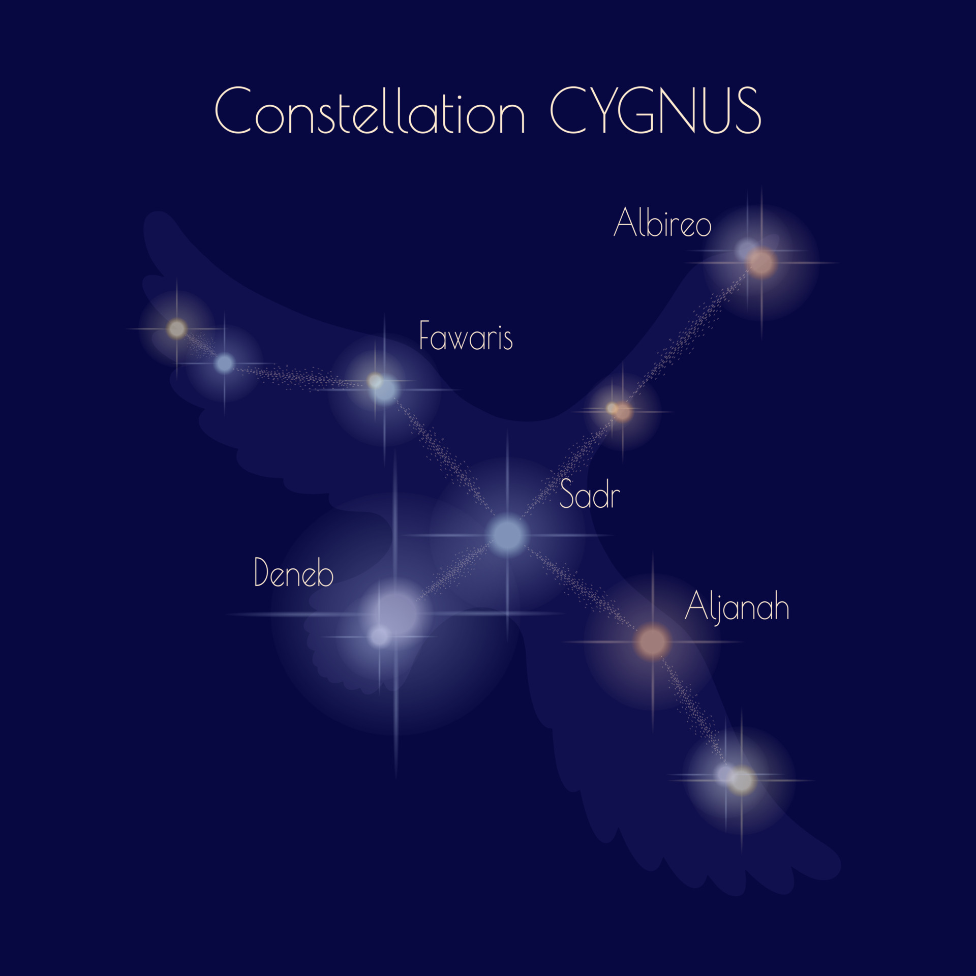 Constellation Cygnus on the background of dark blue sky. Stars of the ... Constellation Cygnus on the background of dark blue sky. Stars of the ...