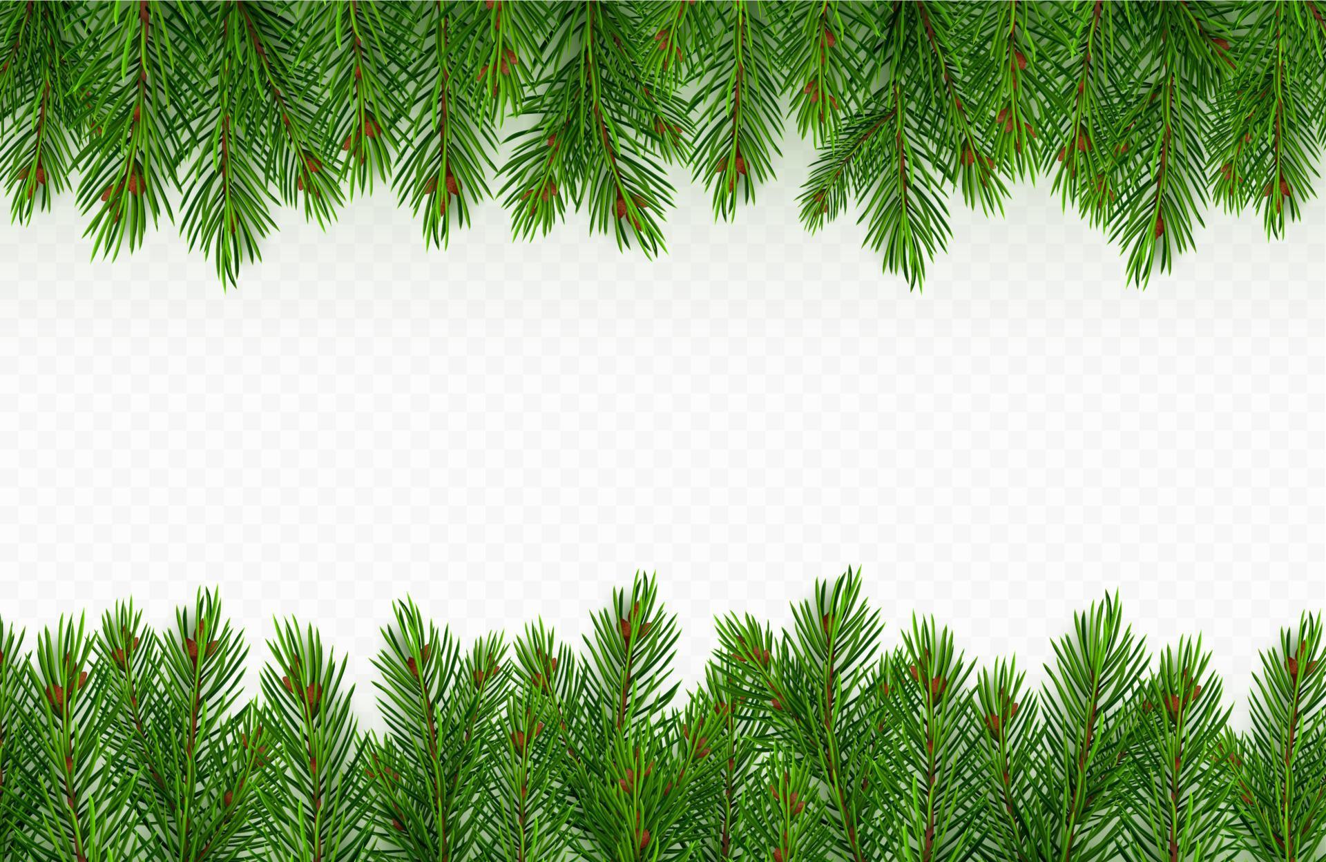 Pine tree branch border. green fir twigs frame 21757130 Vector Art at ...