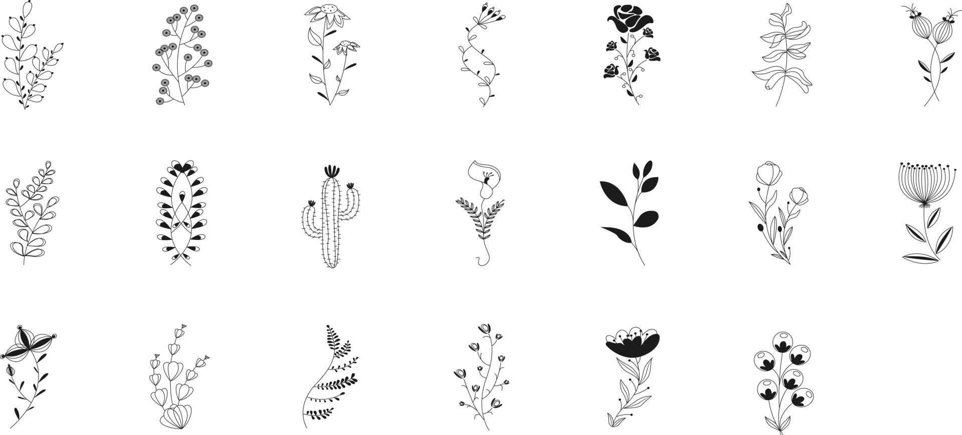 Herbal Plant Set 21779992 Vector Art At Vecteezy