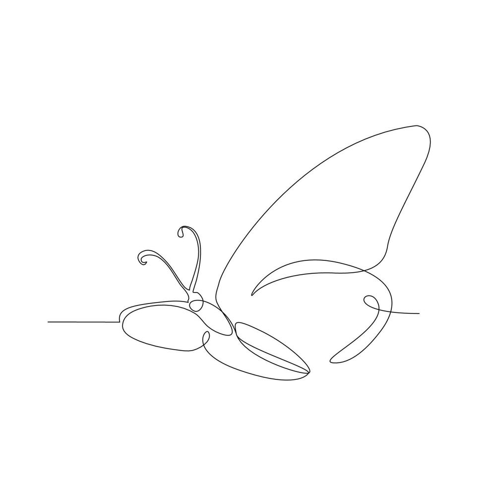 Continuous Line Art Or One Line Butterfly Drawing For Vector