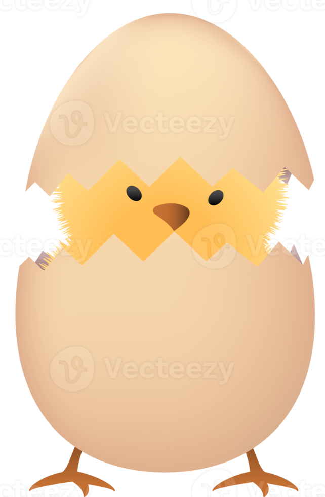 Chick In Broken Brown Egg 21819972 Png