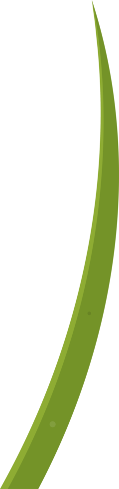 Cartoon Grass Leaves Clip Art 21830926 Png