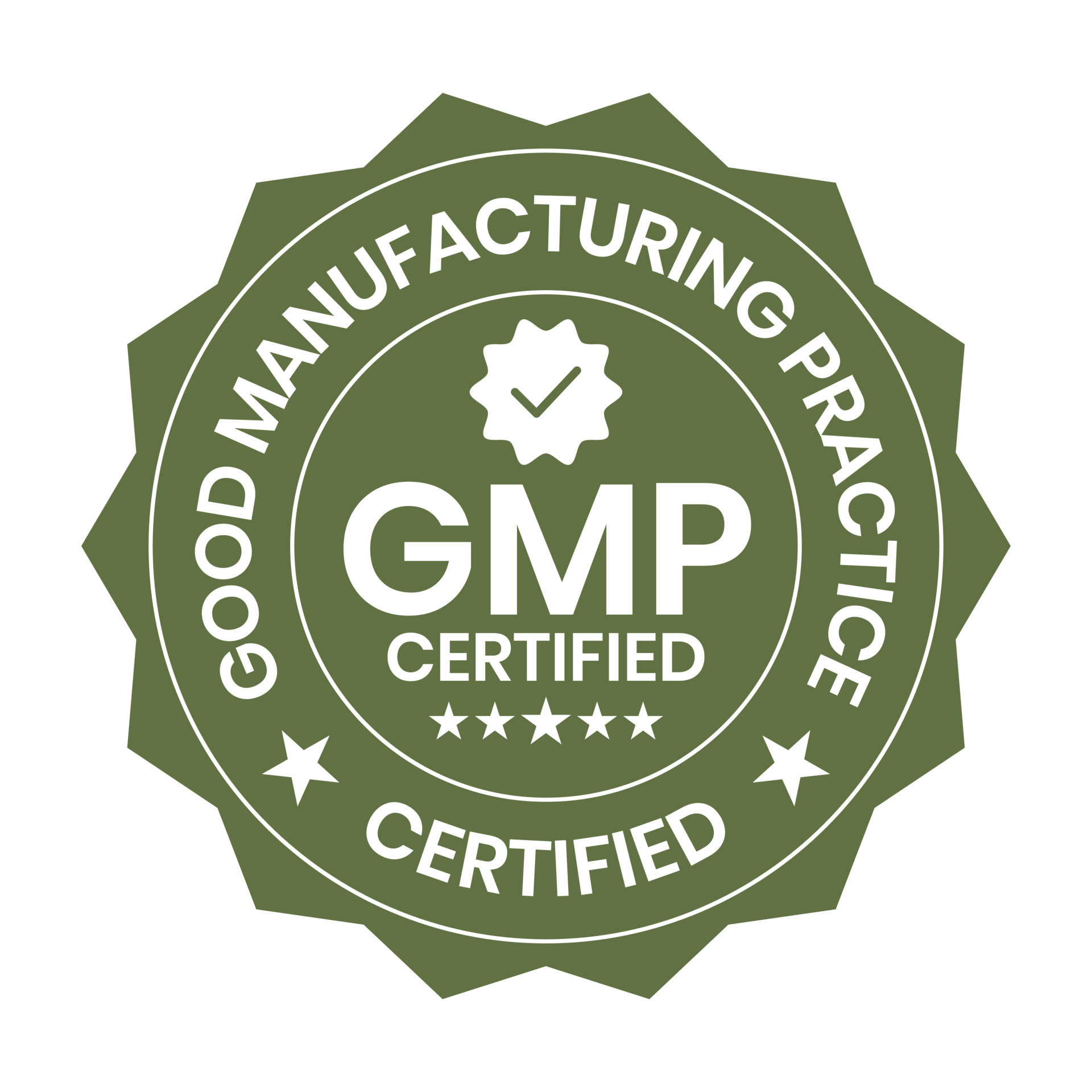 gmp certificado o bueno fabricación práctica certificado insignia, estampilla, icono, sello ...