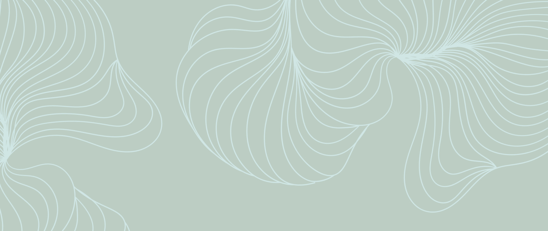 Abstract Flower Line Background Vector Minimalist Pencil Hand Drawn Contour Doodle Scribble