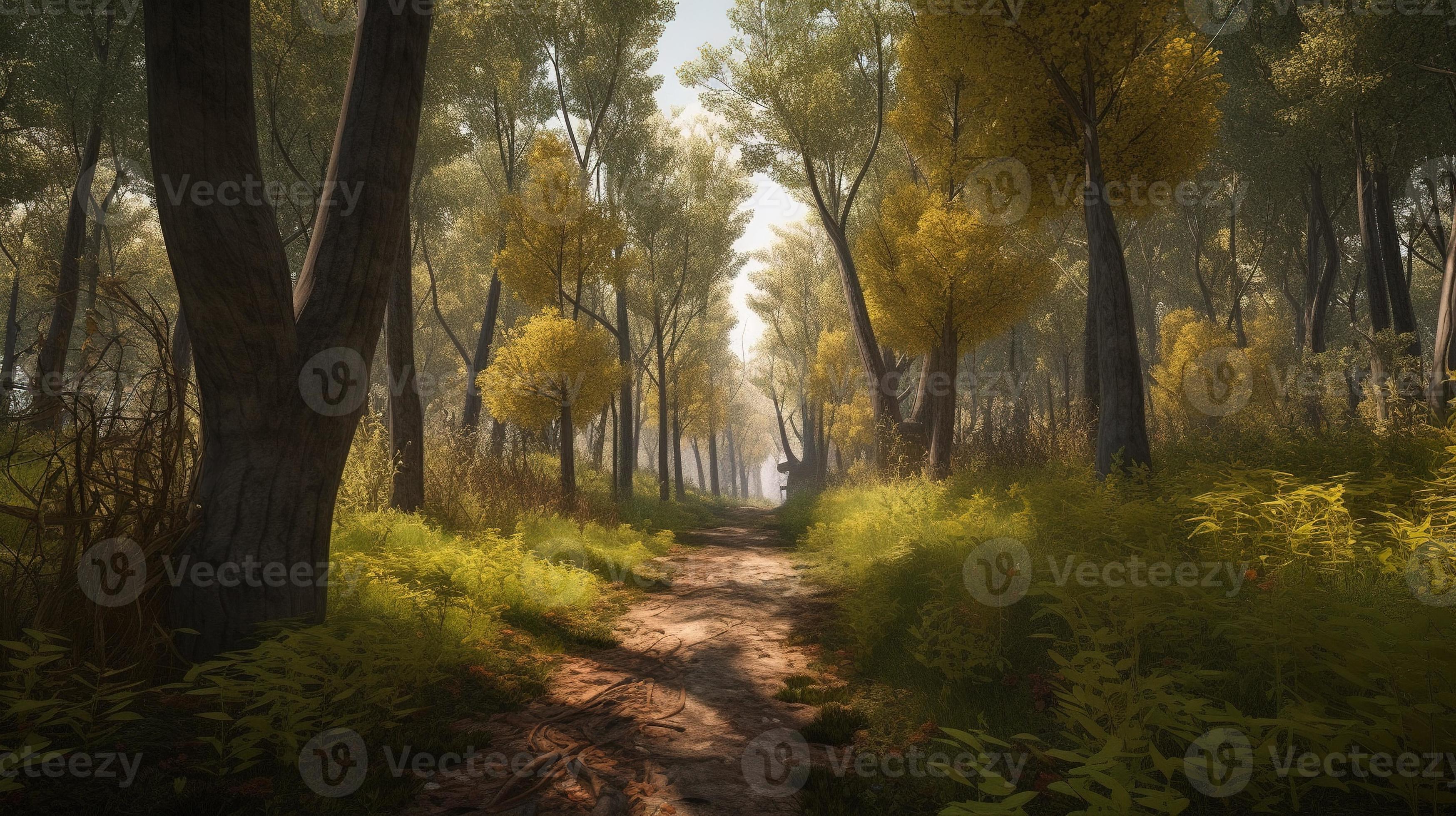 Foggy path through the forest ,Sunset in a dark forest with rays of ...