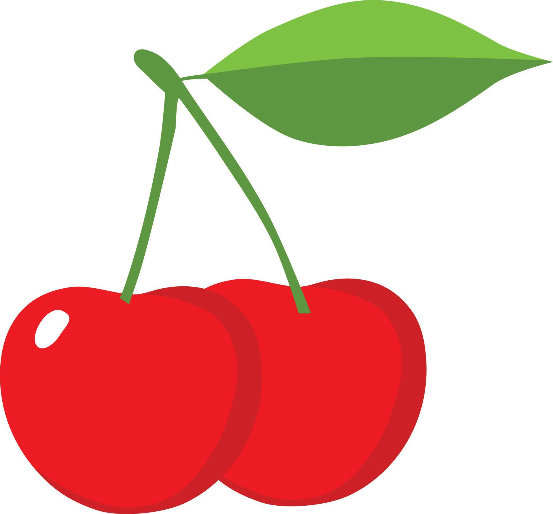 Fresh Cherry Fruit Illustration 21906148 Vector Art At Vecteezy