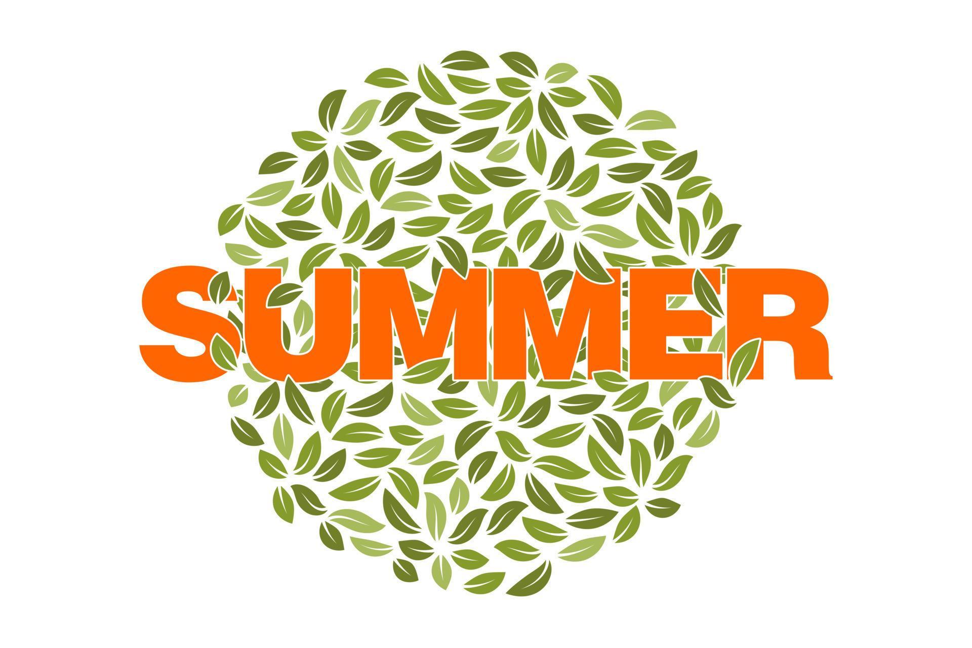 Summer Slogan For T Shirt With Word And Leaf Vacation Style Print Design In Vector 21907166