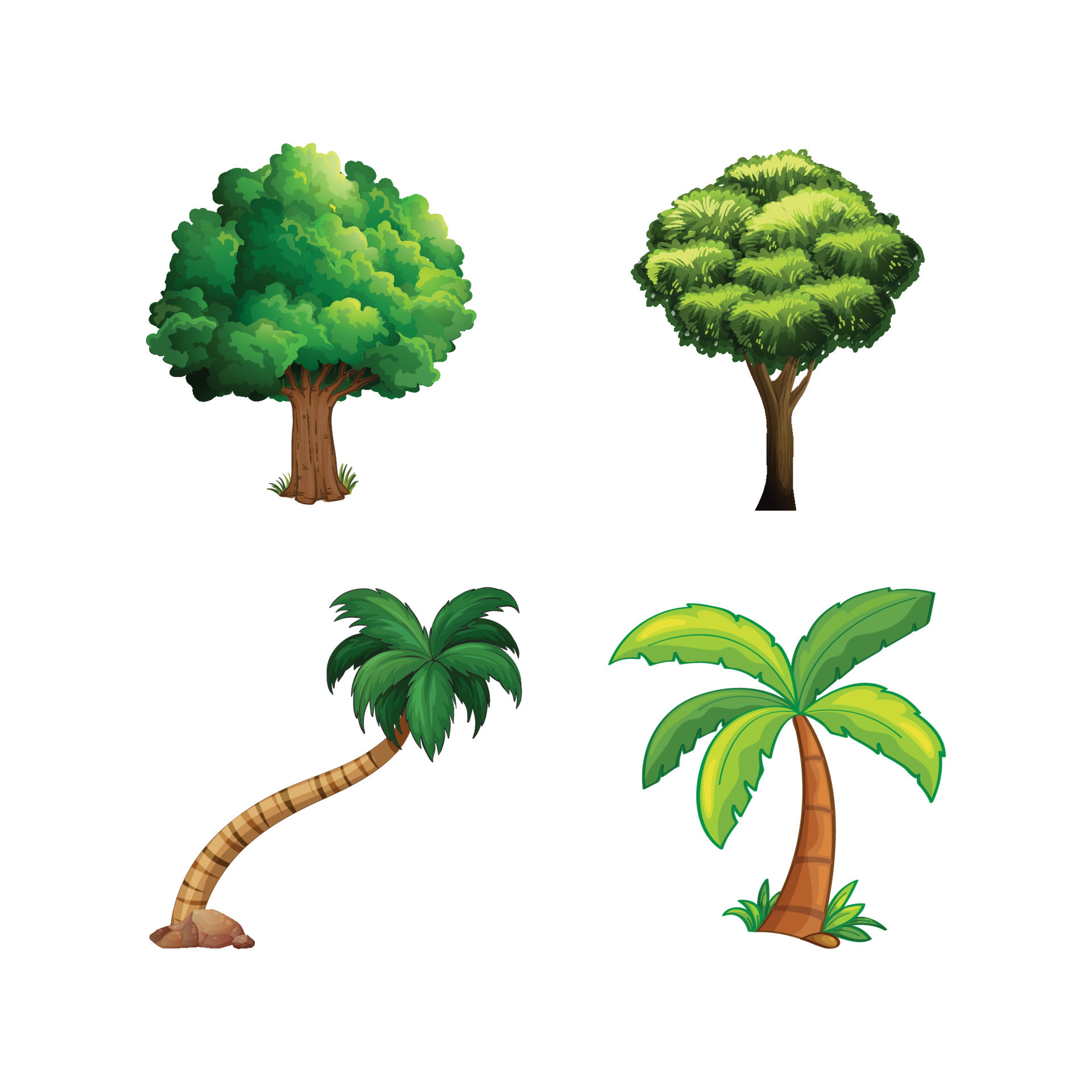 collection of trees in vector 21910663 Vector Art at Vecteezy