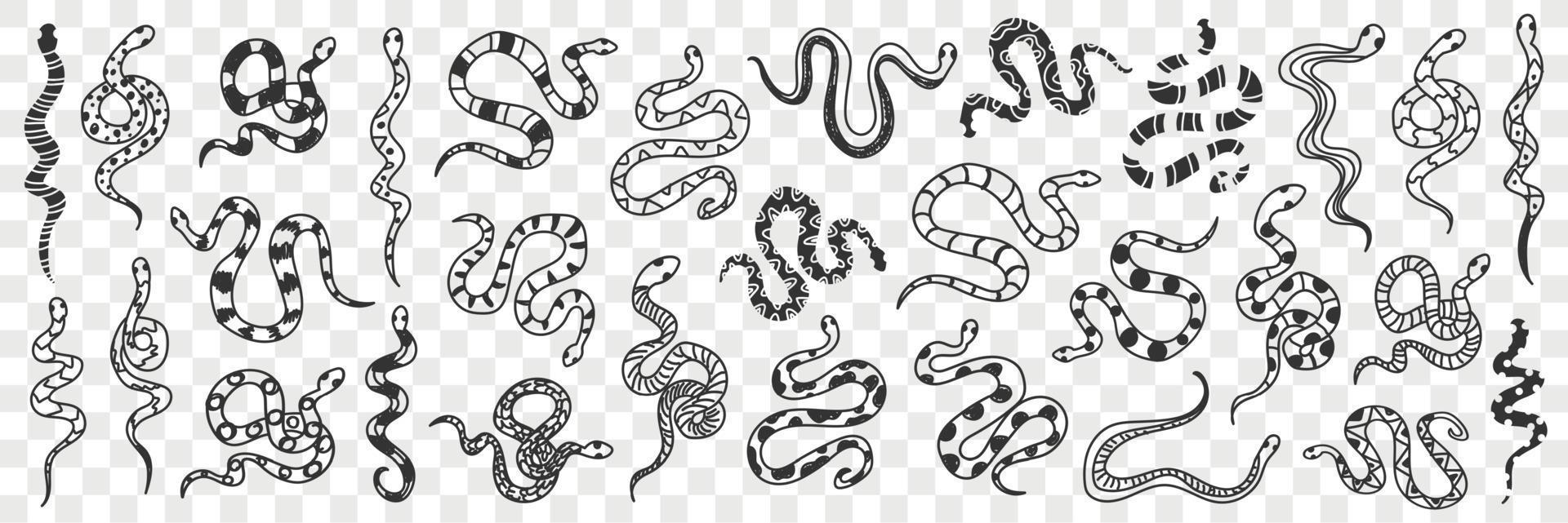 Various snakes of different patterns doodle set. Collection of hand ...