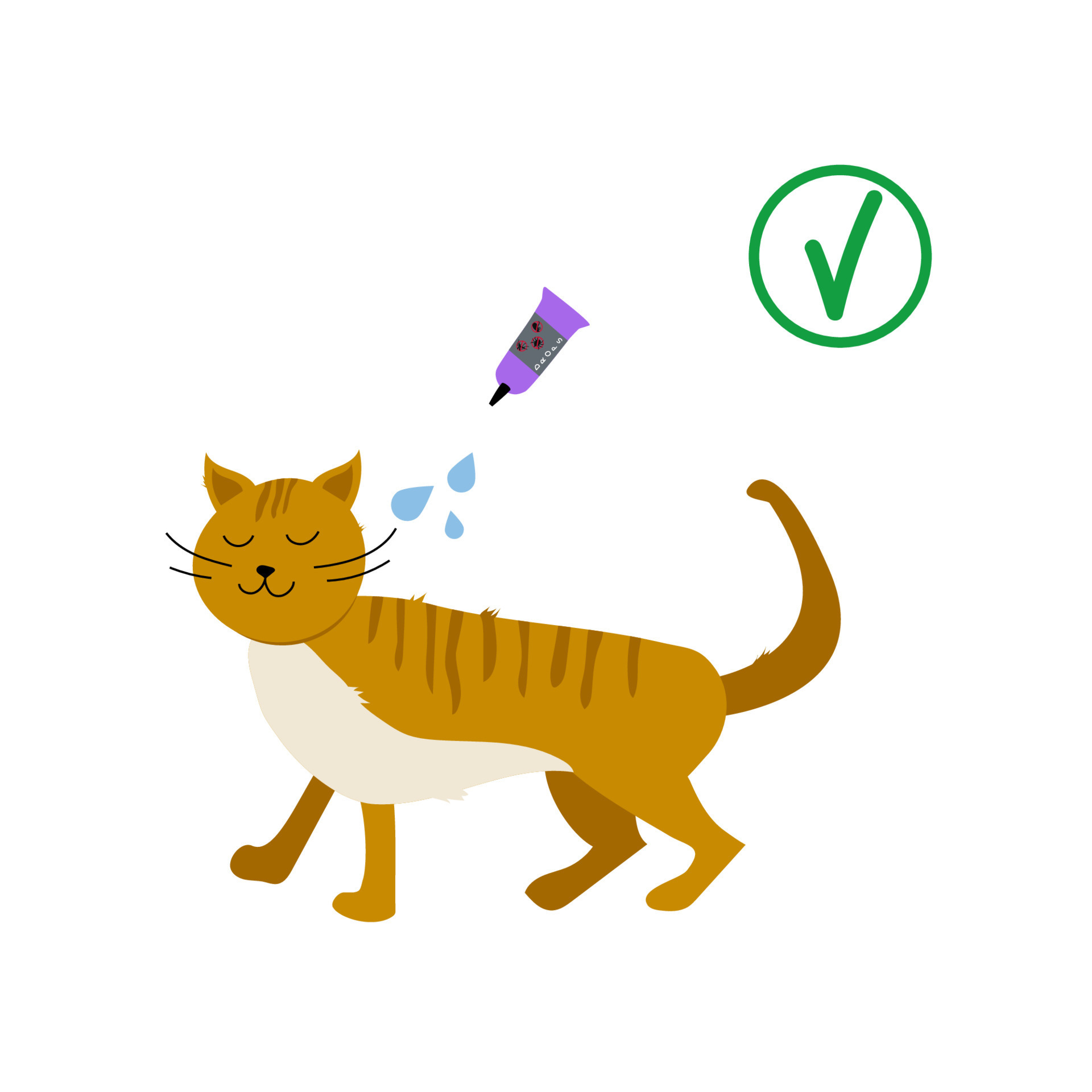 Tick And Flea Supplies Treatment Of A Cat From Fleas And Ticks Flea Drops Protection Of