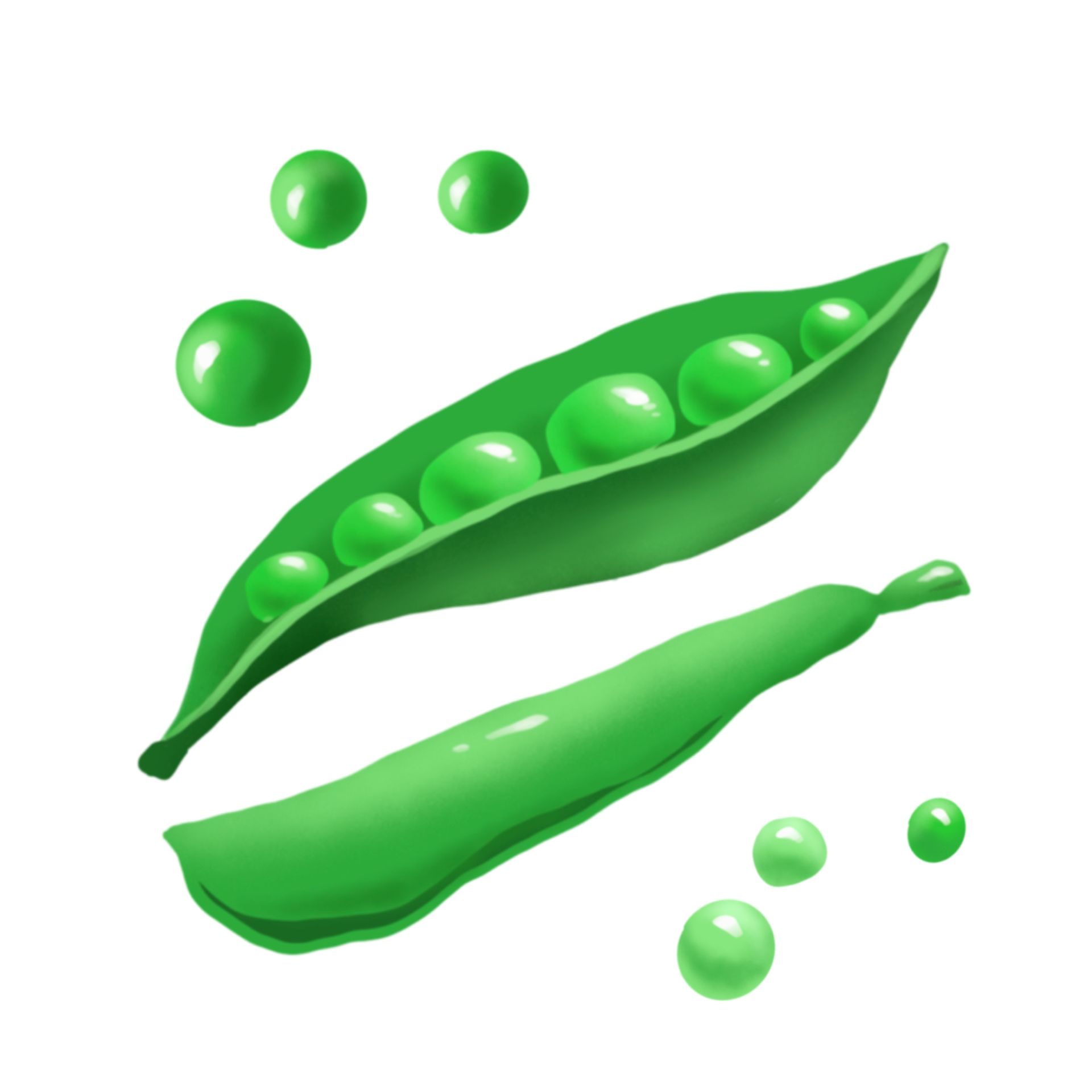 Peas. Vegetable. Digital illustration 21952832 PNG