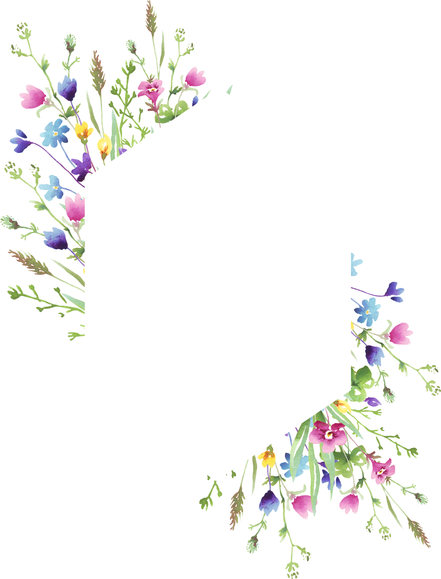 Wildflowers frame. Watercolor clipart 21952834 PNG Wildflowers frame. Watercolor clipart 21952834 PNG