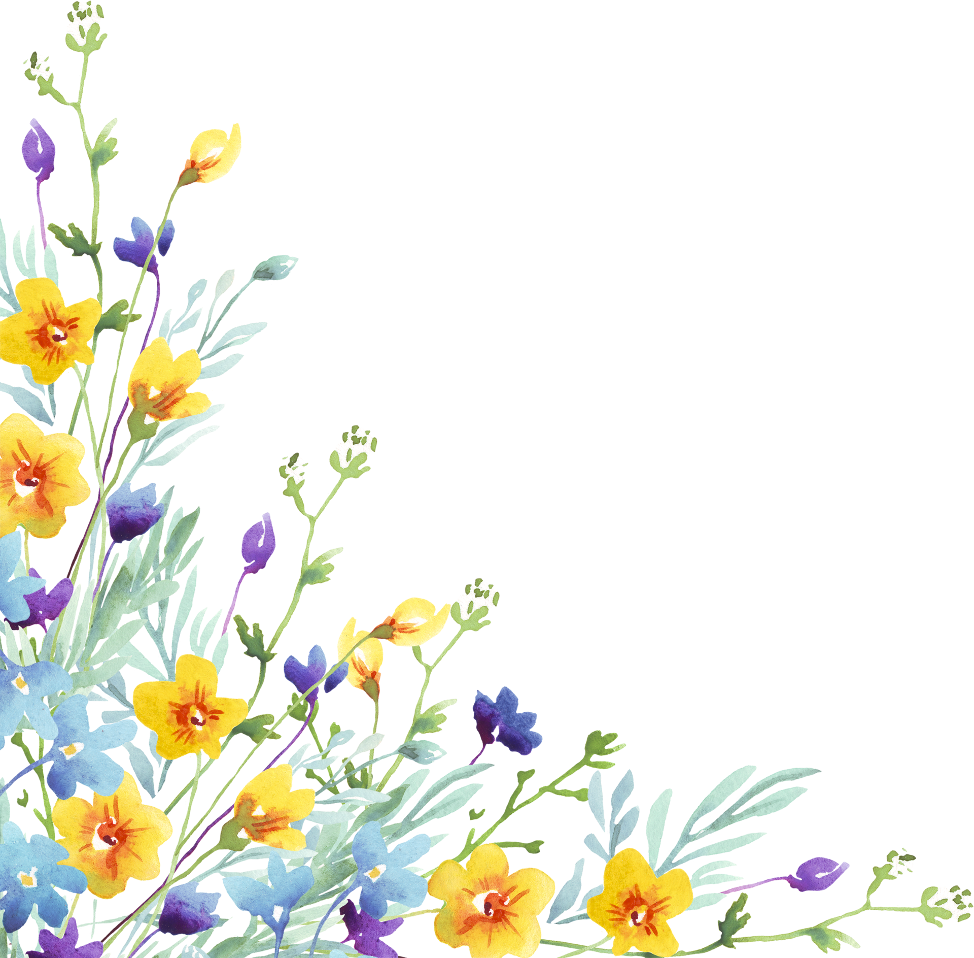 Wildflowers frame. Watercolor clipart 21952851 PNG Wildflowers frame. Watercolor clipart 21952851 PNG