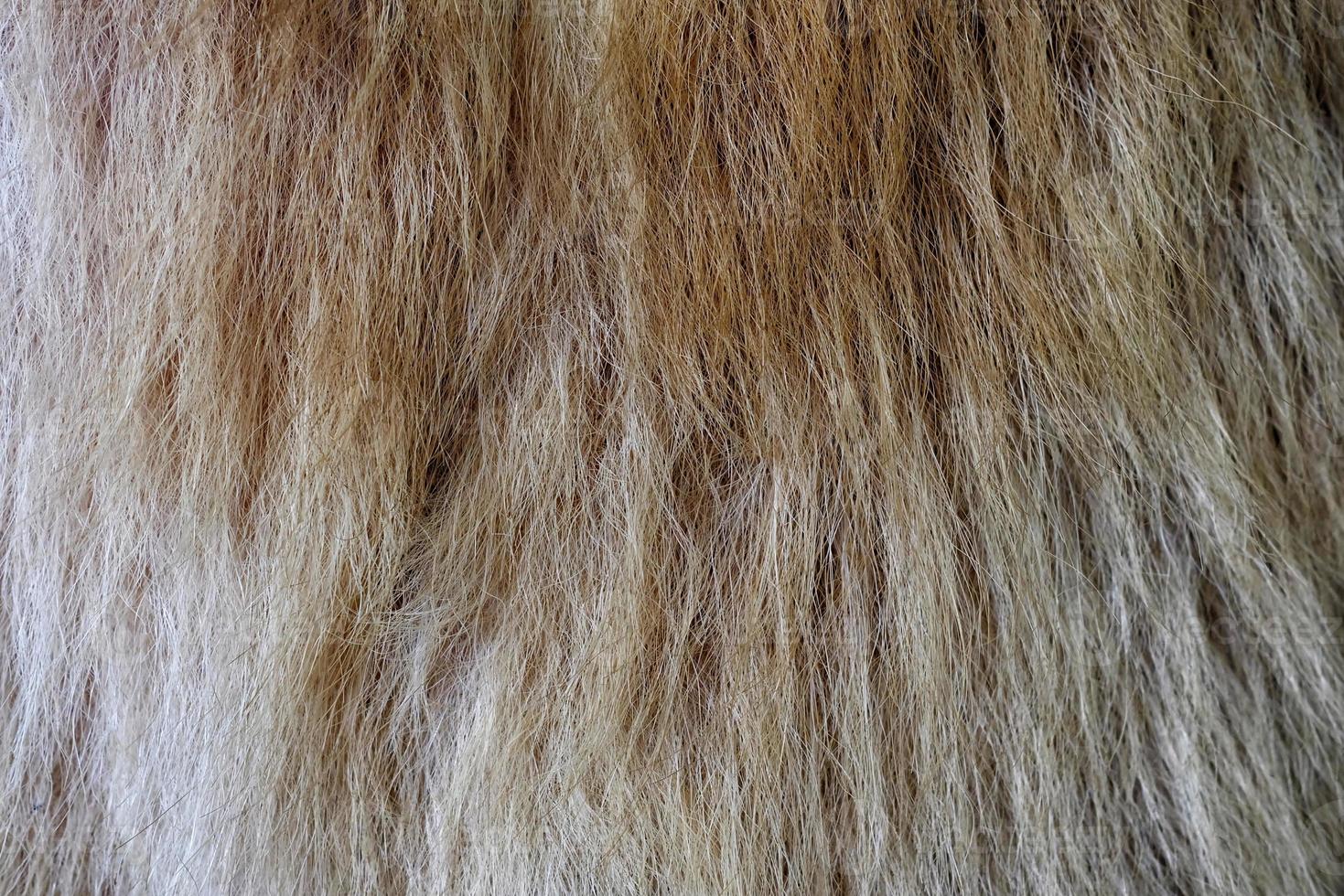 Close up Fur of Brown Bear Texture Background. 21976073 Stock Photo at ...
