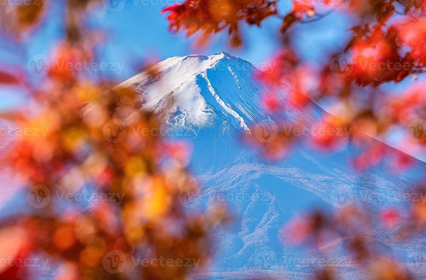 Mt. Fuji on blue sky background with autumn foliage at daytime in ...