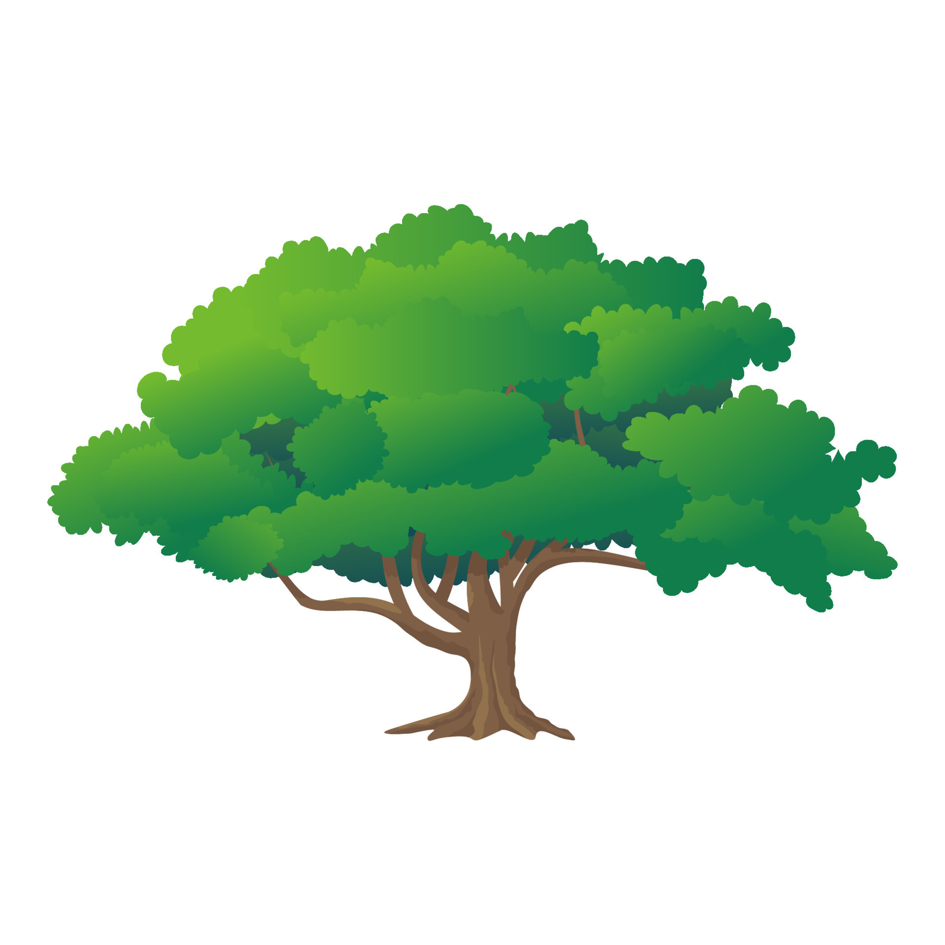 Tree icons set. Cartoon vector icons for web isolated on white ... Tree icons set. Cartoon vector icons for web isolated on white ...