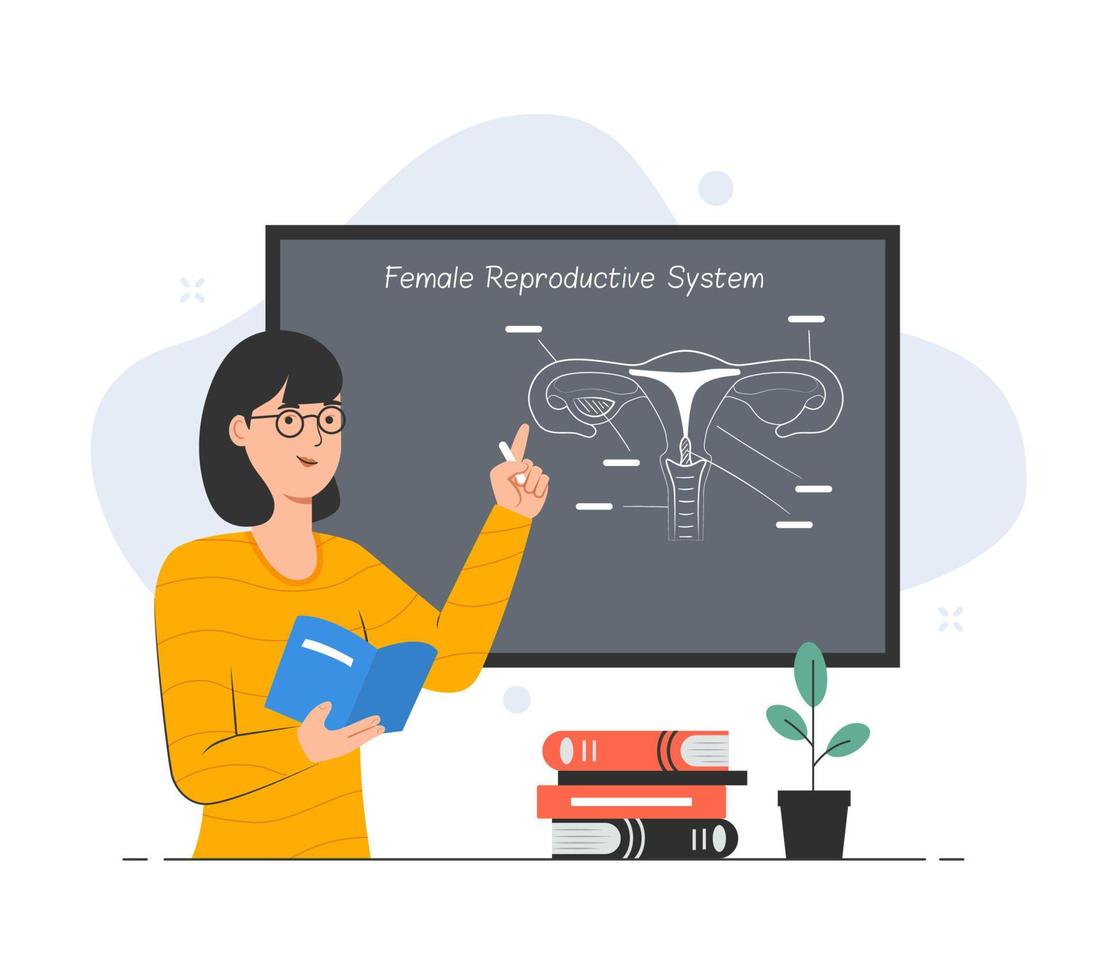 Teacher Giving A Biology Lesson Sex Education In School Concept 22020636 Vector Art At Vecteezy