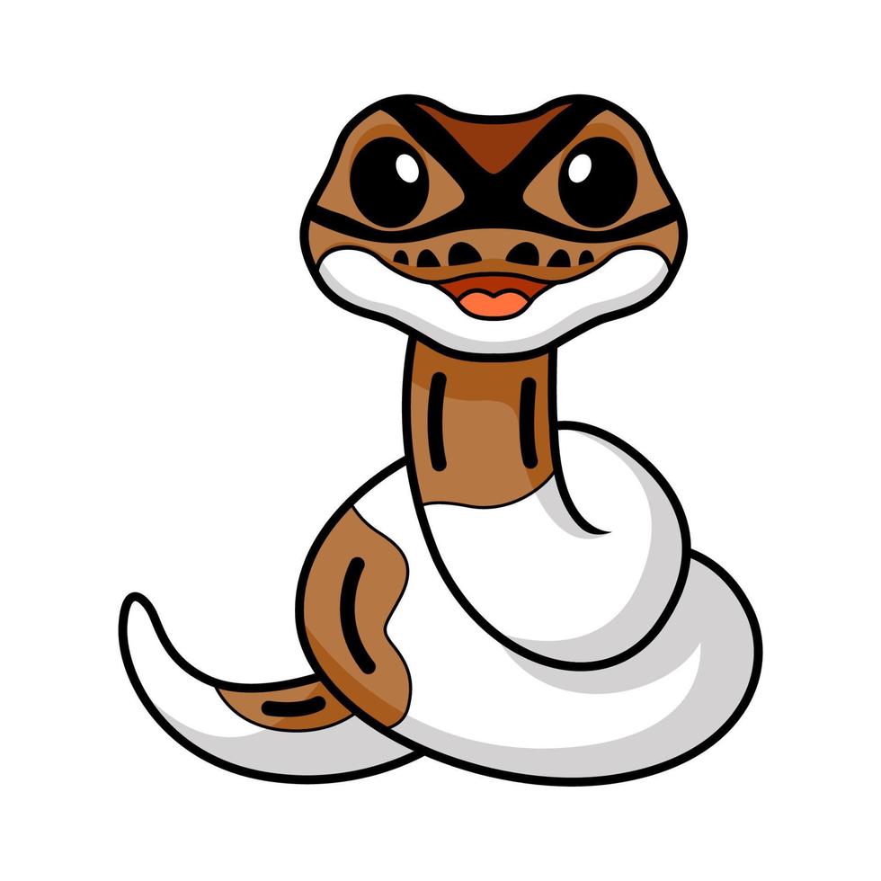 Cute pied ball python cartoon 22033490 Vector Art at Vecteezy