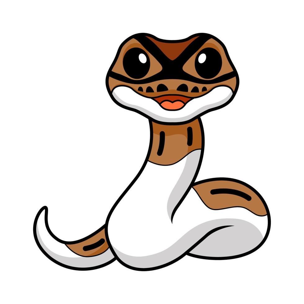 Cute pied ball python cartoon 22033492 Vector Art at Vecteezy