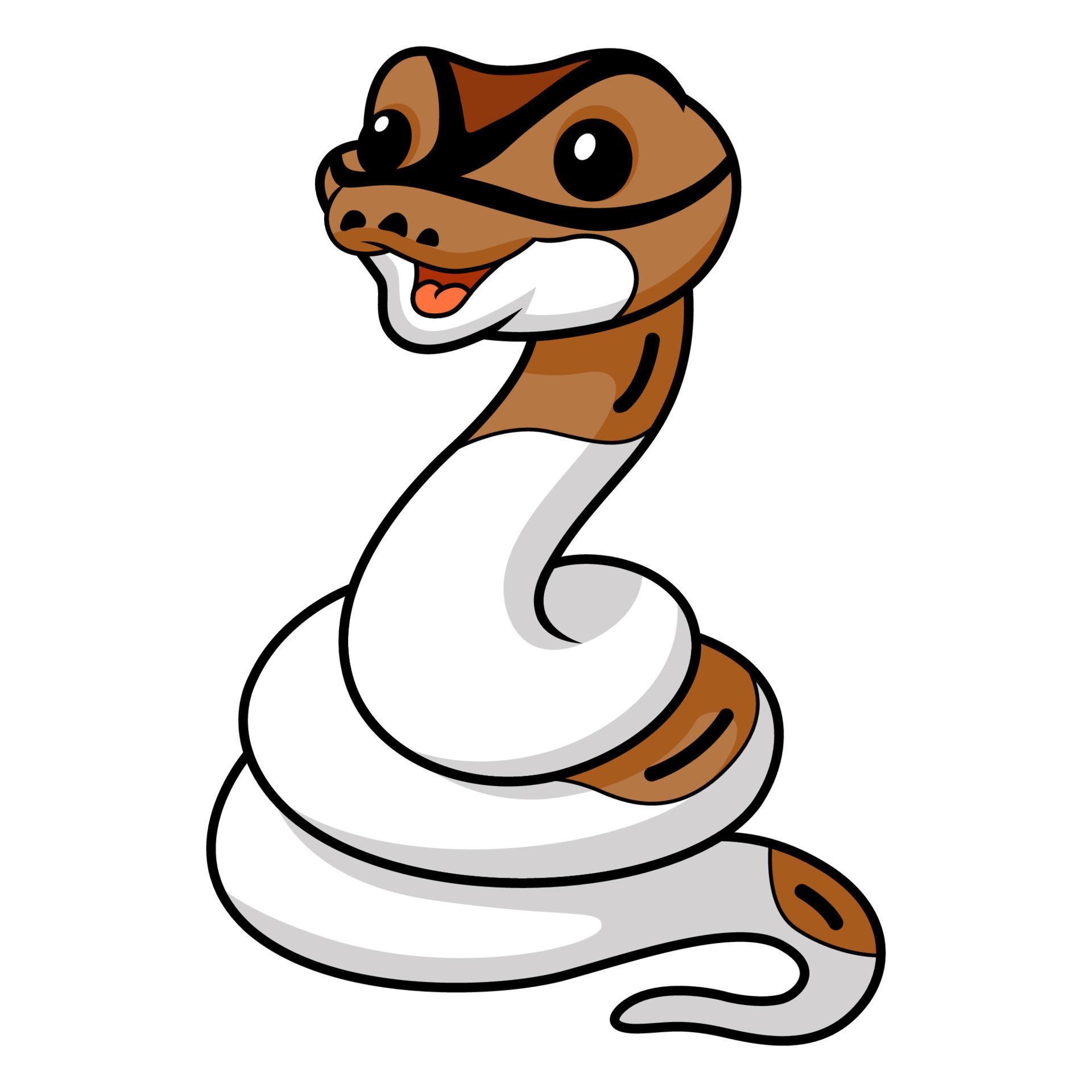 Cute pied ball python cartoon 22033503 Vector Art at Vecteezy