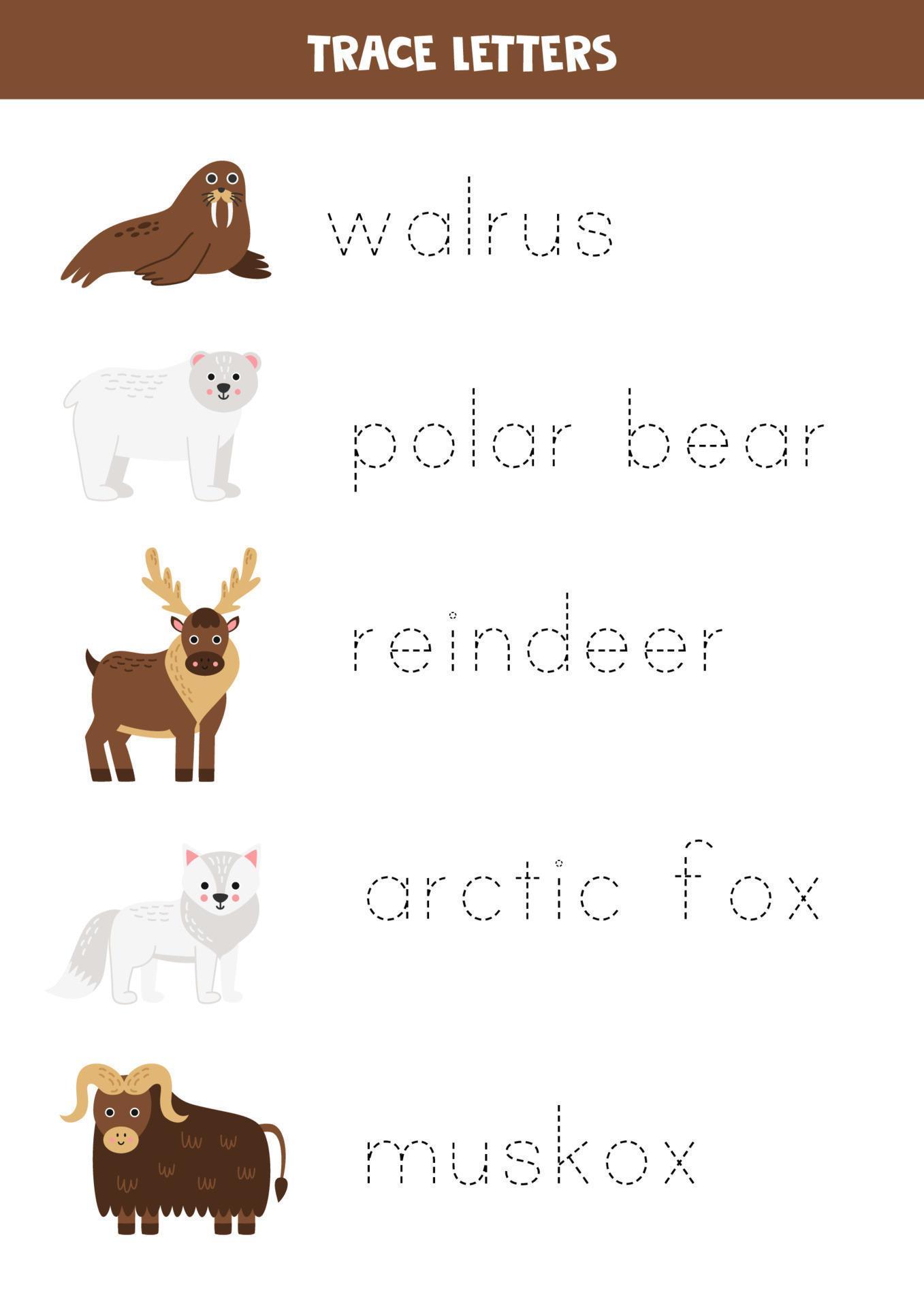 Trace the names of cute arctic animals. Handwriting practice for ...