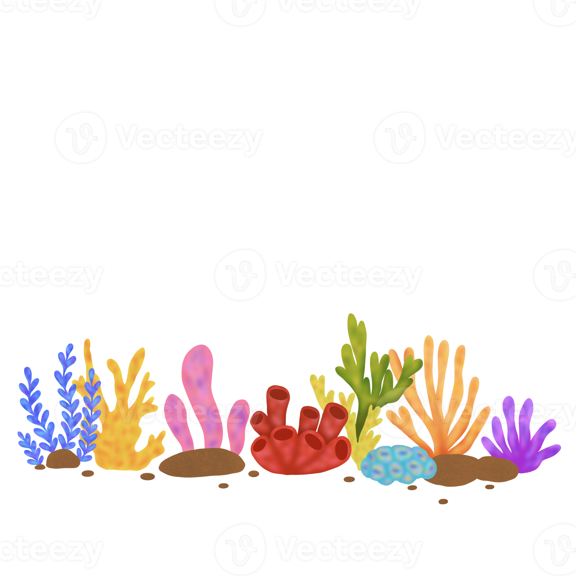 Coral Reef Composition 22094081 Png