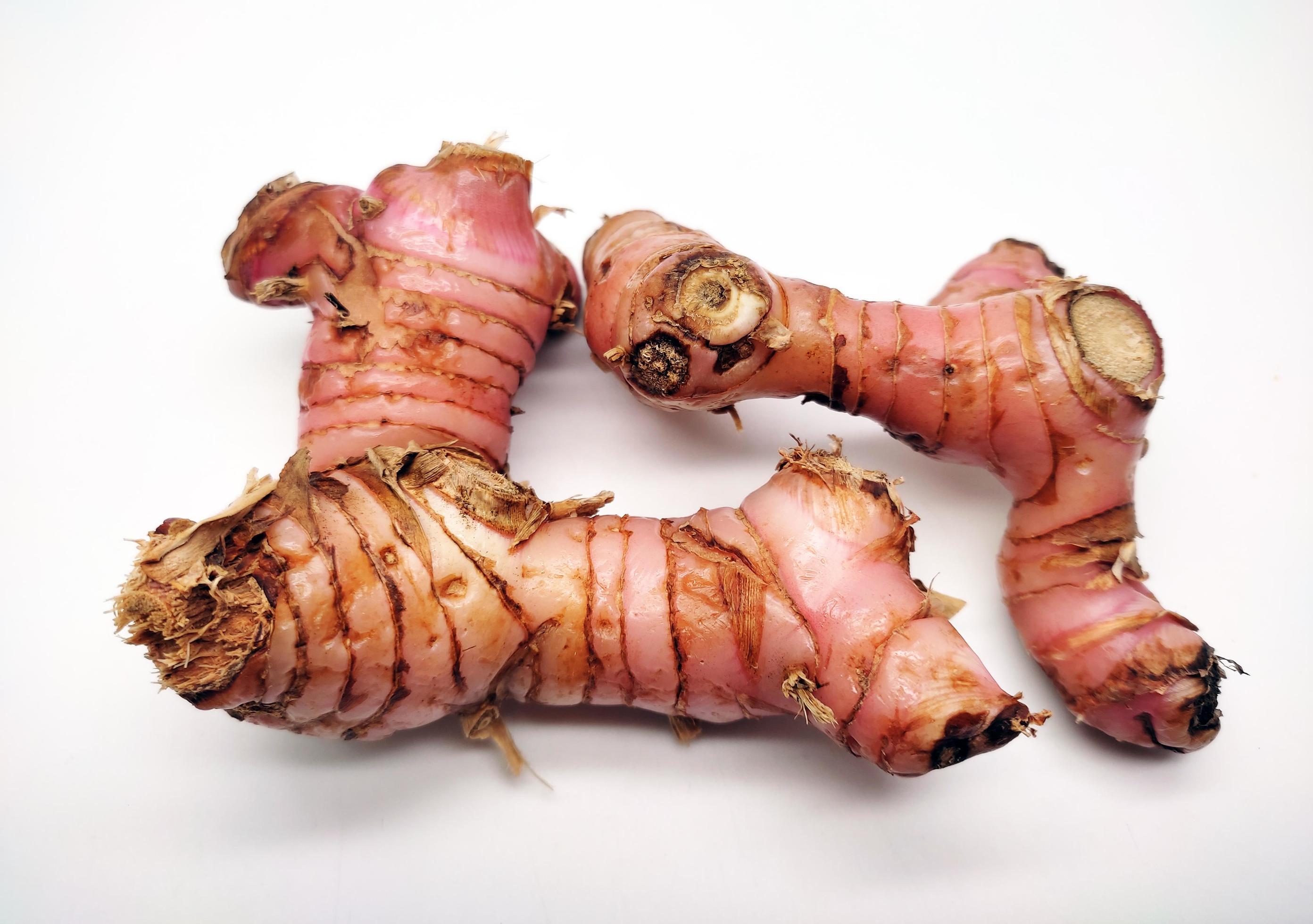 galangal or alpinia galanga isolated in white background 22123522 Stock Photo at Vecteezy