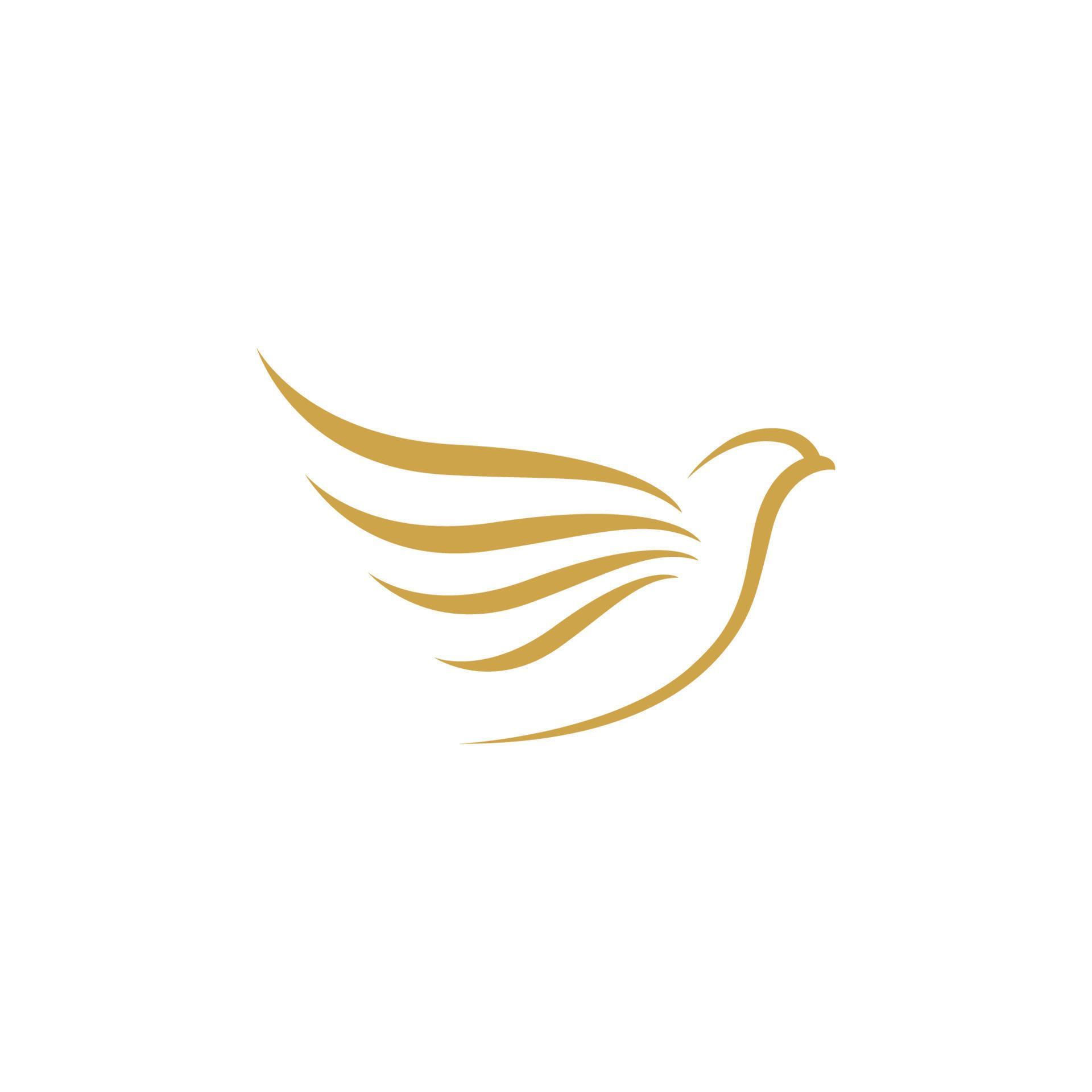 Bird wing Dove icon Template vector illustration 22137603 Vector Art at Vecteezy