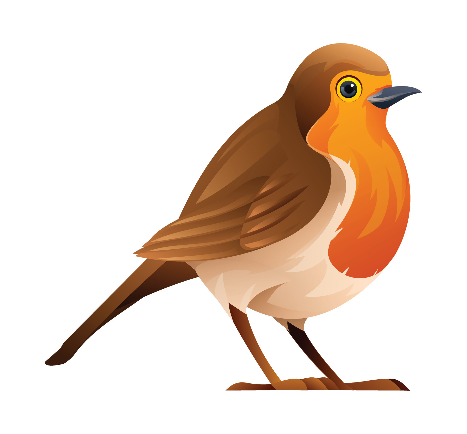 Robin Cartoon