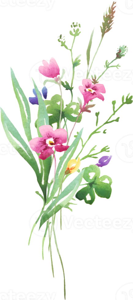 Wildflowers Bouquet Watercolor Clipart 22157093 Png
