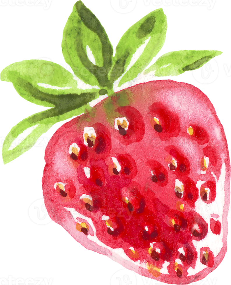 Watercolor strawberry. Watercolor clipart 22157131 PNG