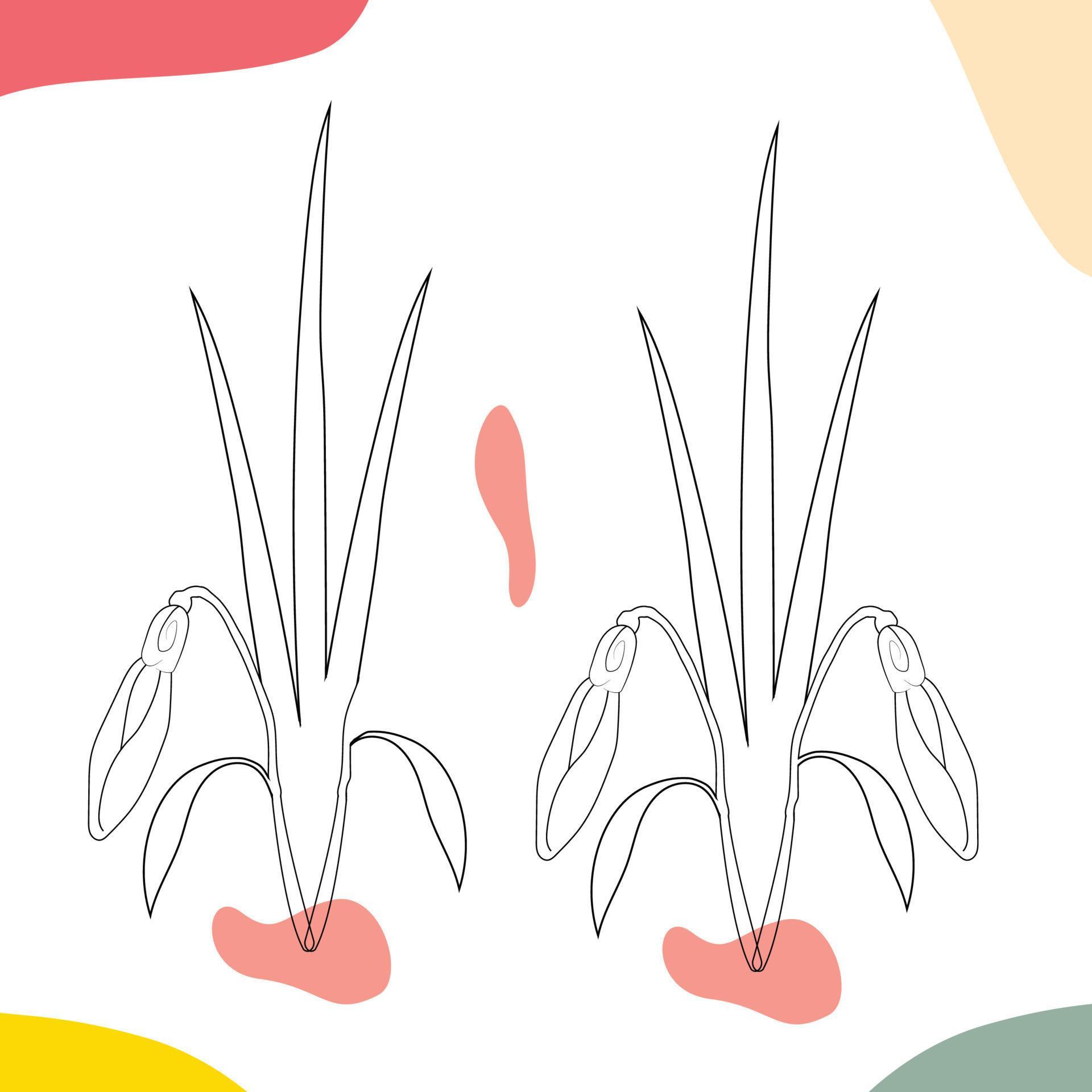 Set of hand drawn line art leaf branch vector. Collection of tropical monstera, palm leaf branch ...