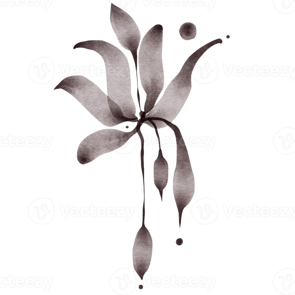 Abstracción Un Raro Flor En Un Monocromo Rango En Acuarela Técnica 22206084 Png