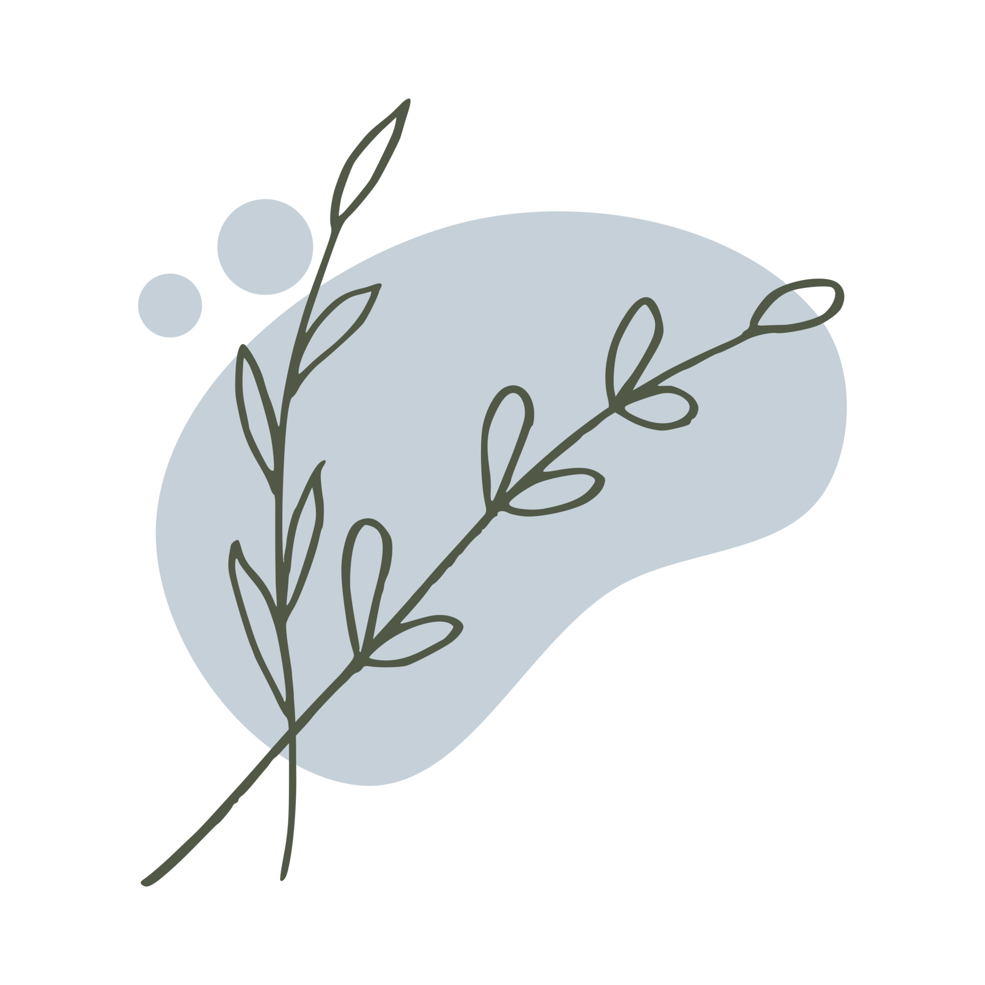 Hand Drawn Leaf With An Aesthetic Shape Or Aesthetic Blob Simple