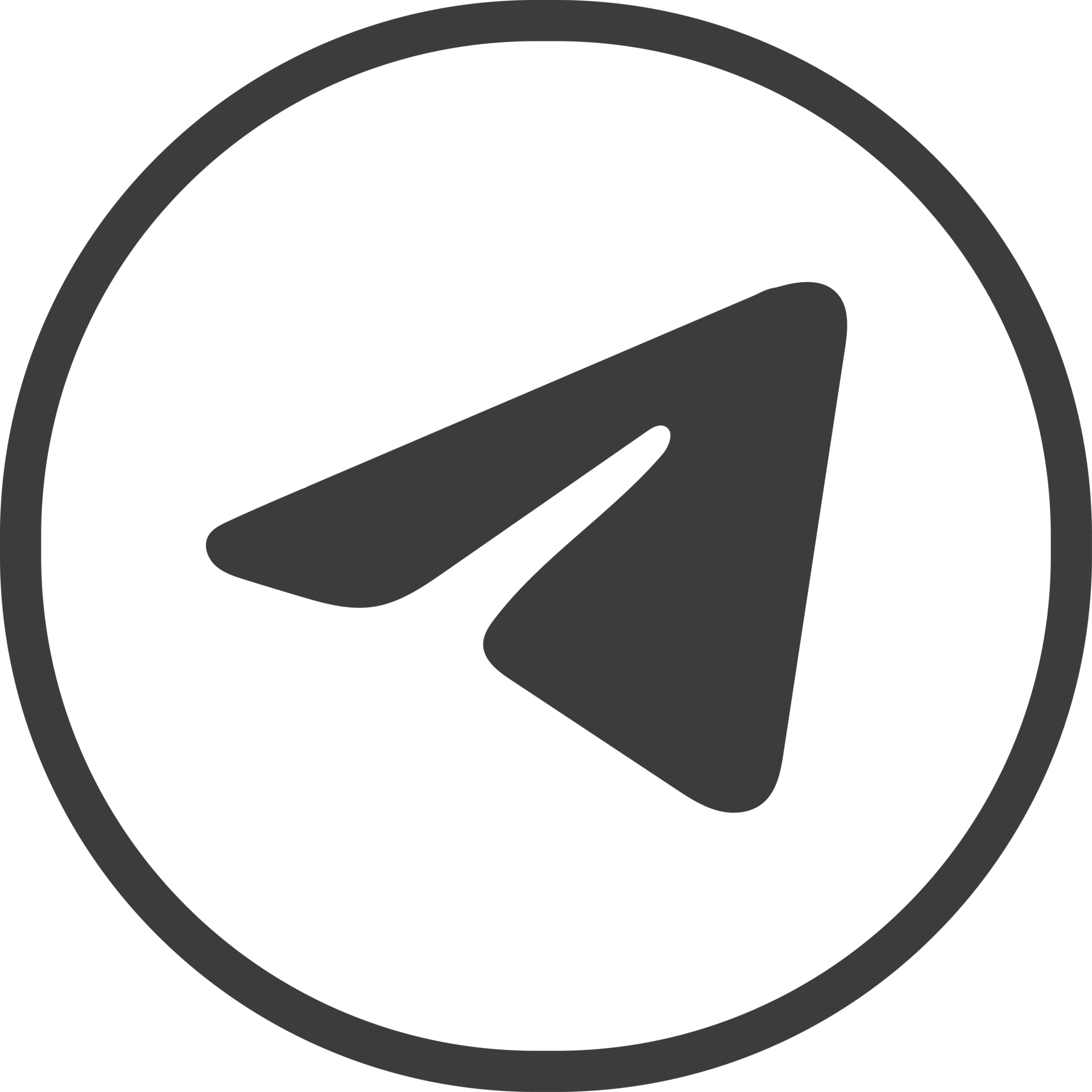 Telegram Logo Icon 22227348 PNG Telegram Logo Icon 22227348 PNG