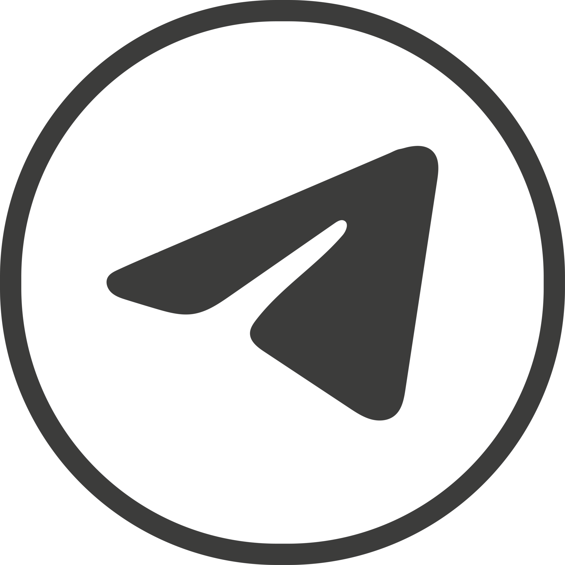 Telegram Logo Icon 22227348 PNG Telegram Logo Icon 22227348 PNG