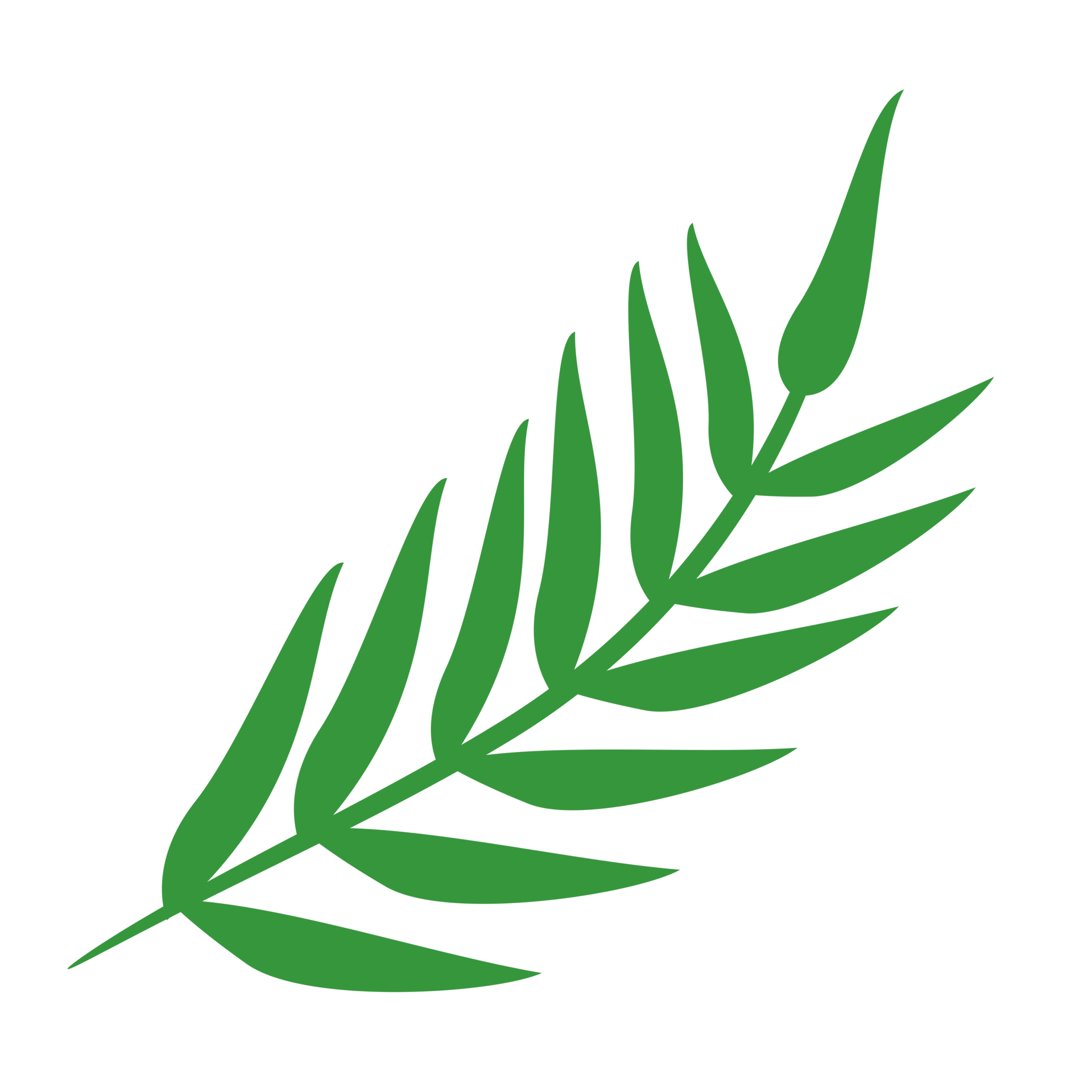 Natural Object element 22279845 PNG Natural Object element 22279845 PNG