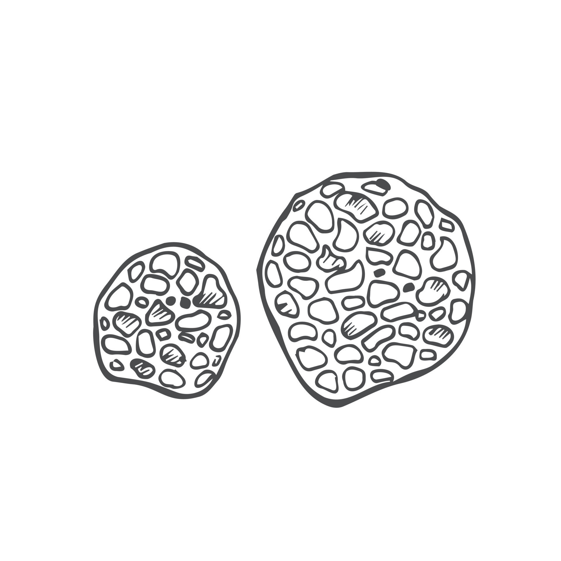 Doodle Truffle Mushrooms Graphic Vector Sketch Isolated On White 22279942 Vector Art At Vecteezy