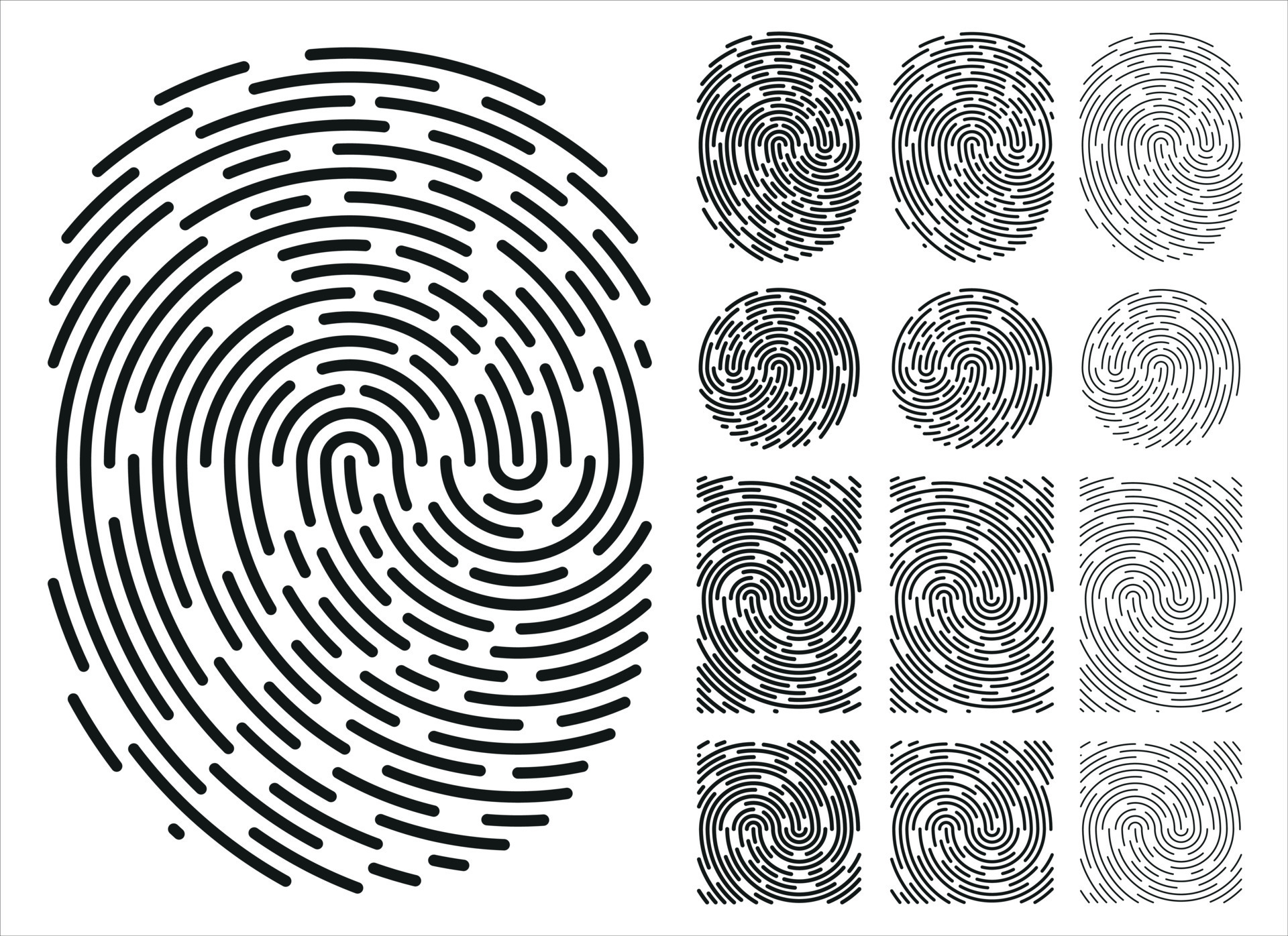 Fingerprint Identification Symbol Icon Set In Flat Style Security